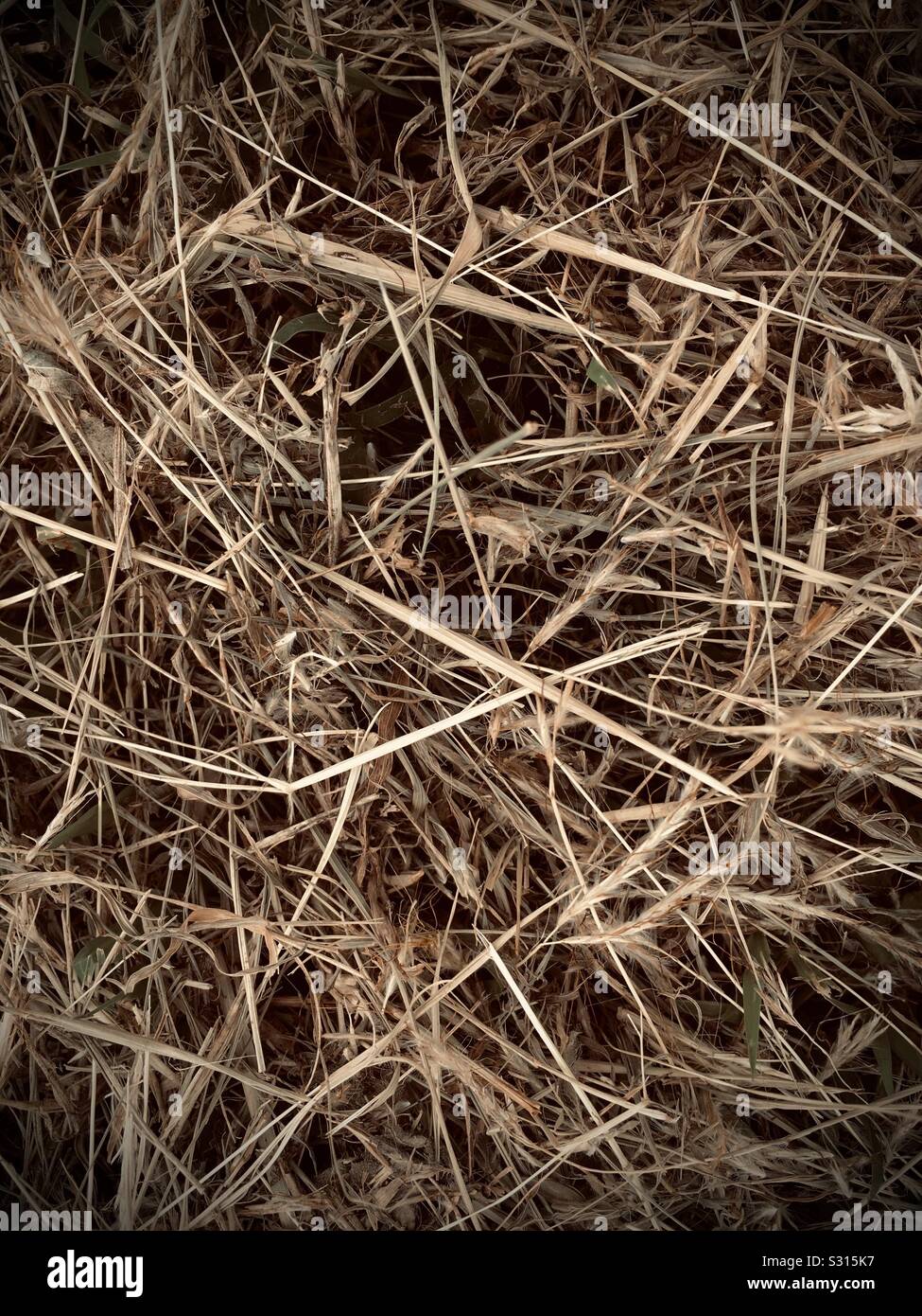 Decomposing grass compost hi-res stock photography and images - Alamy