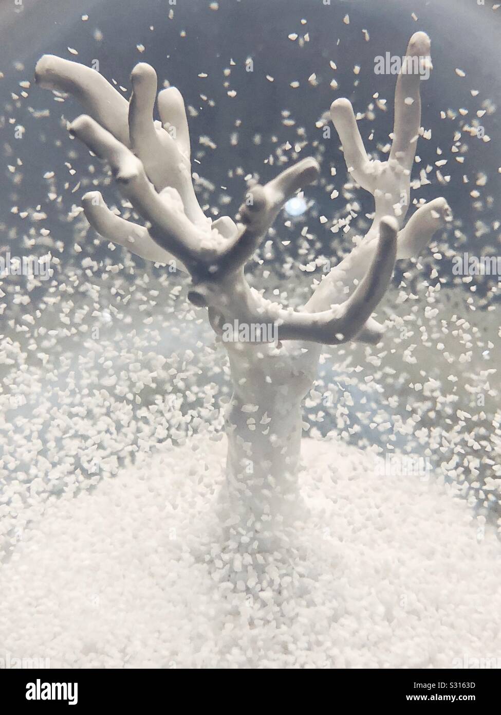 Inside the snow globe Stock Photo - Alamy