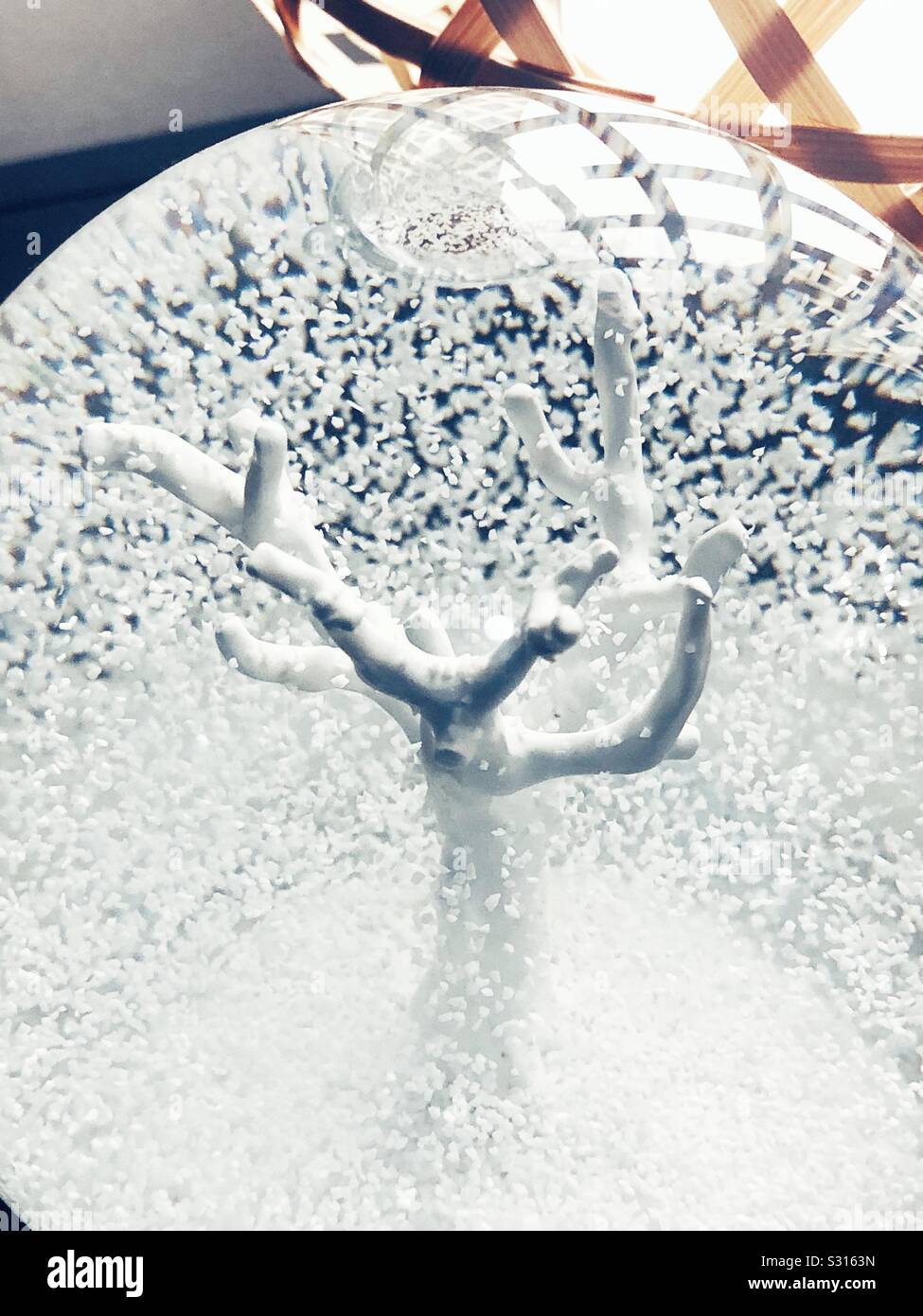 Inside the snow globe Stock Photo - Alamy