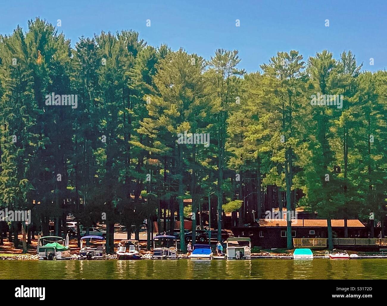 Wisconsin Dells Ducks High Resolution Stock Photography and Images - Alamy