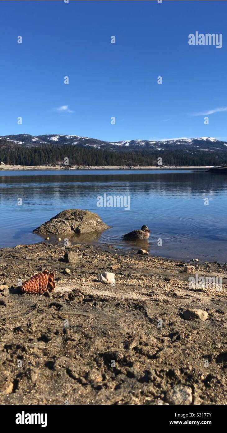 Shaver lake hi-res stock photography and images - Alamy