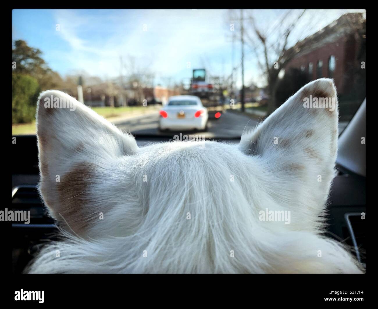 Looking out from a car window hi-res stock photography and images - Alamy