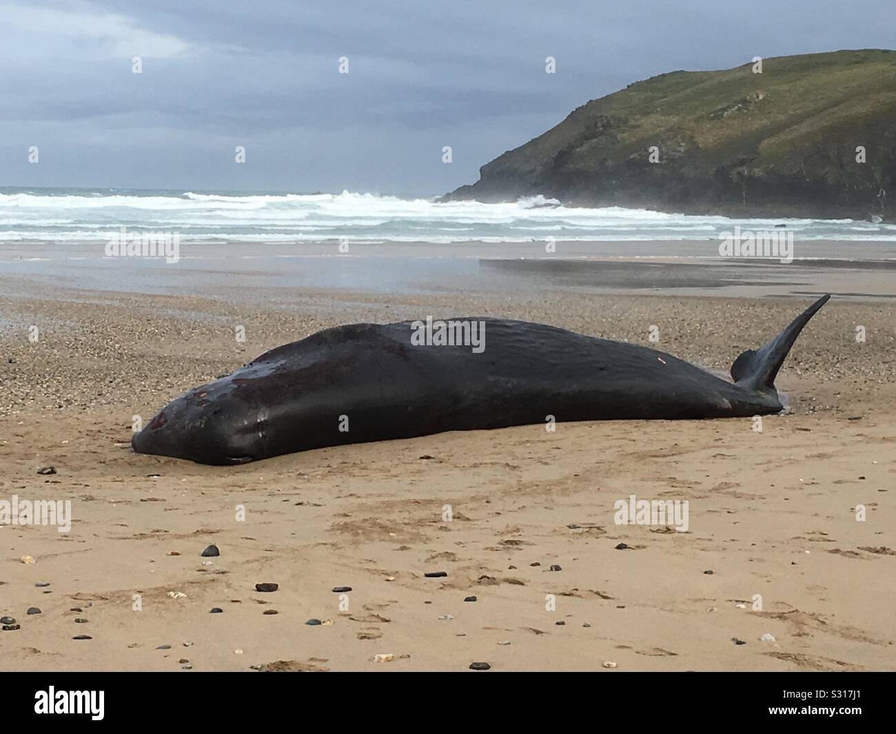 Stranding hi-res stock photography and images - Alamy
