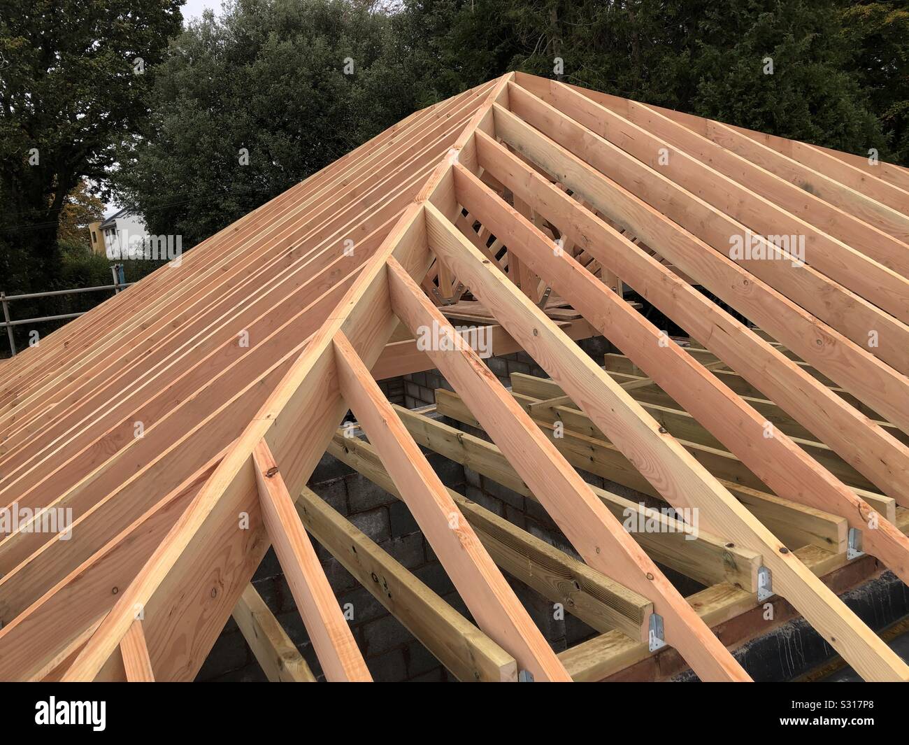 Fur cut hi-res stock photography and images - Alamy