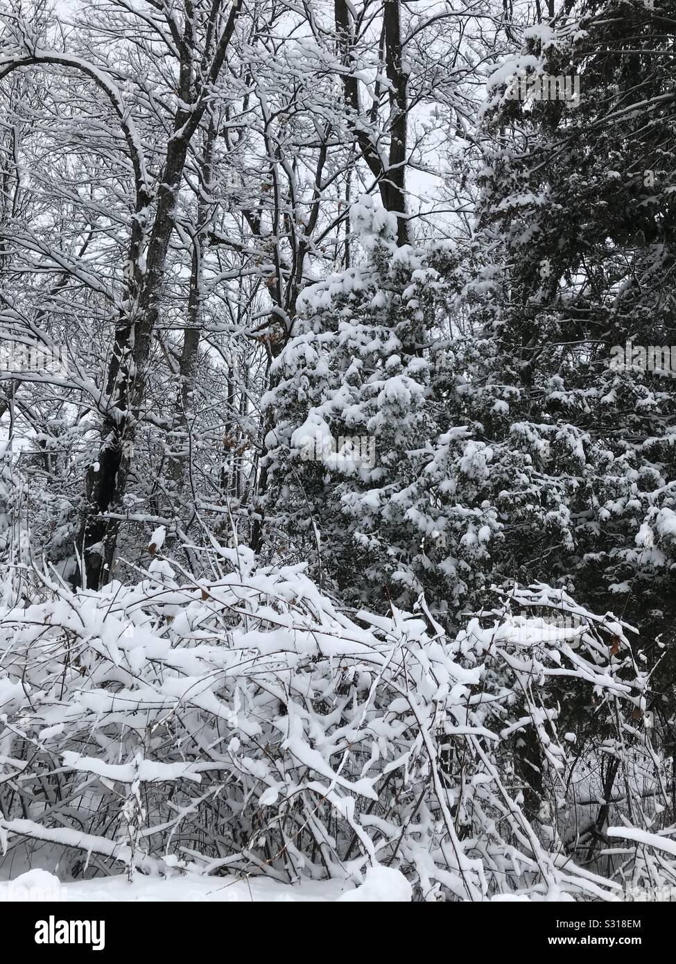 Below freezing hi-res stock photography and images - Alamy