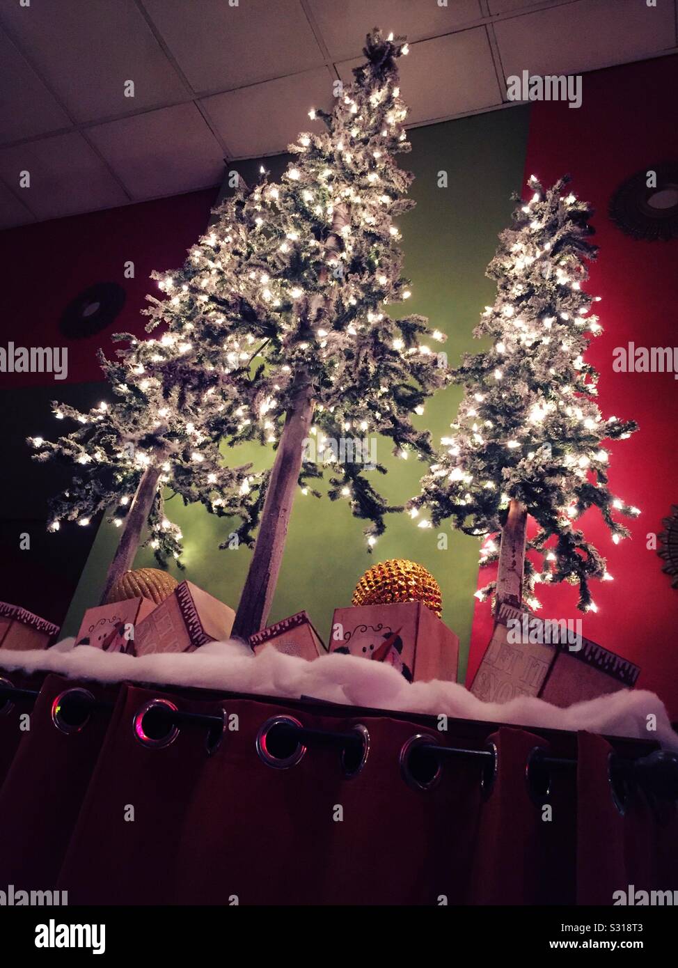 Brightly lit trees hi-res stock photography and images - Alamy