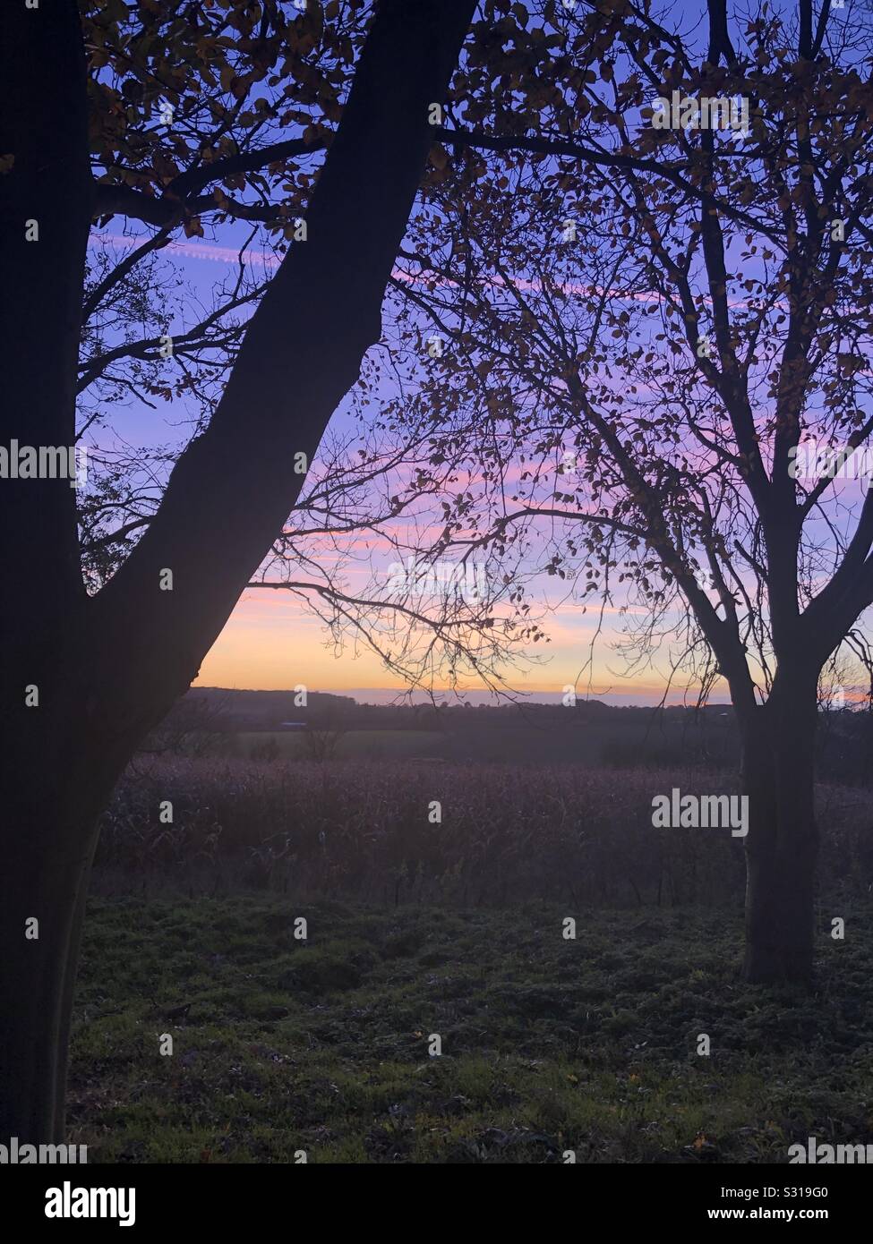 Sunset english countryside hi-res stock photography and images - Alamy