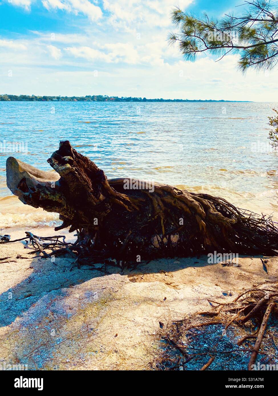 Tree on island hi-res stock photography and images - Alamy
