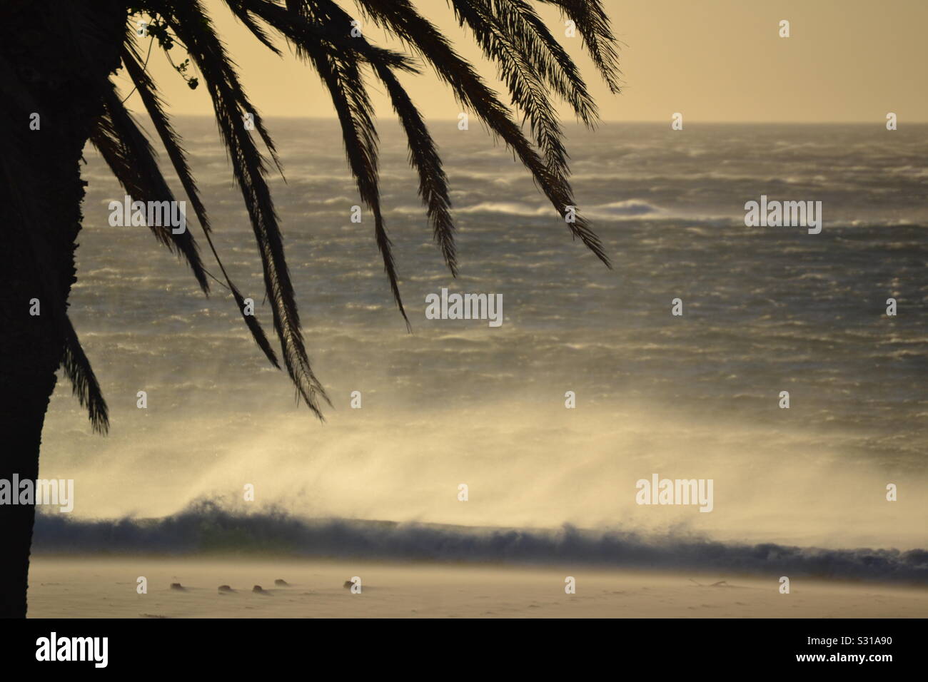 Misty sea spray hi-res stock photography and images - Alamy