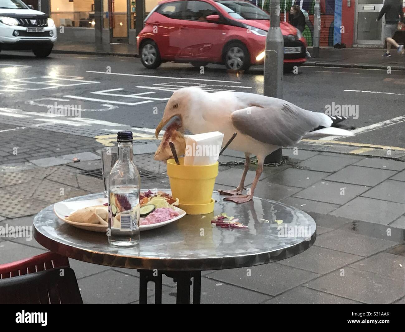 Never take your eyes off your food in Brighton Stock Photo - Alamy
