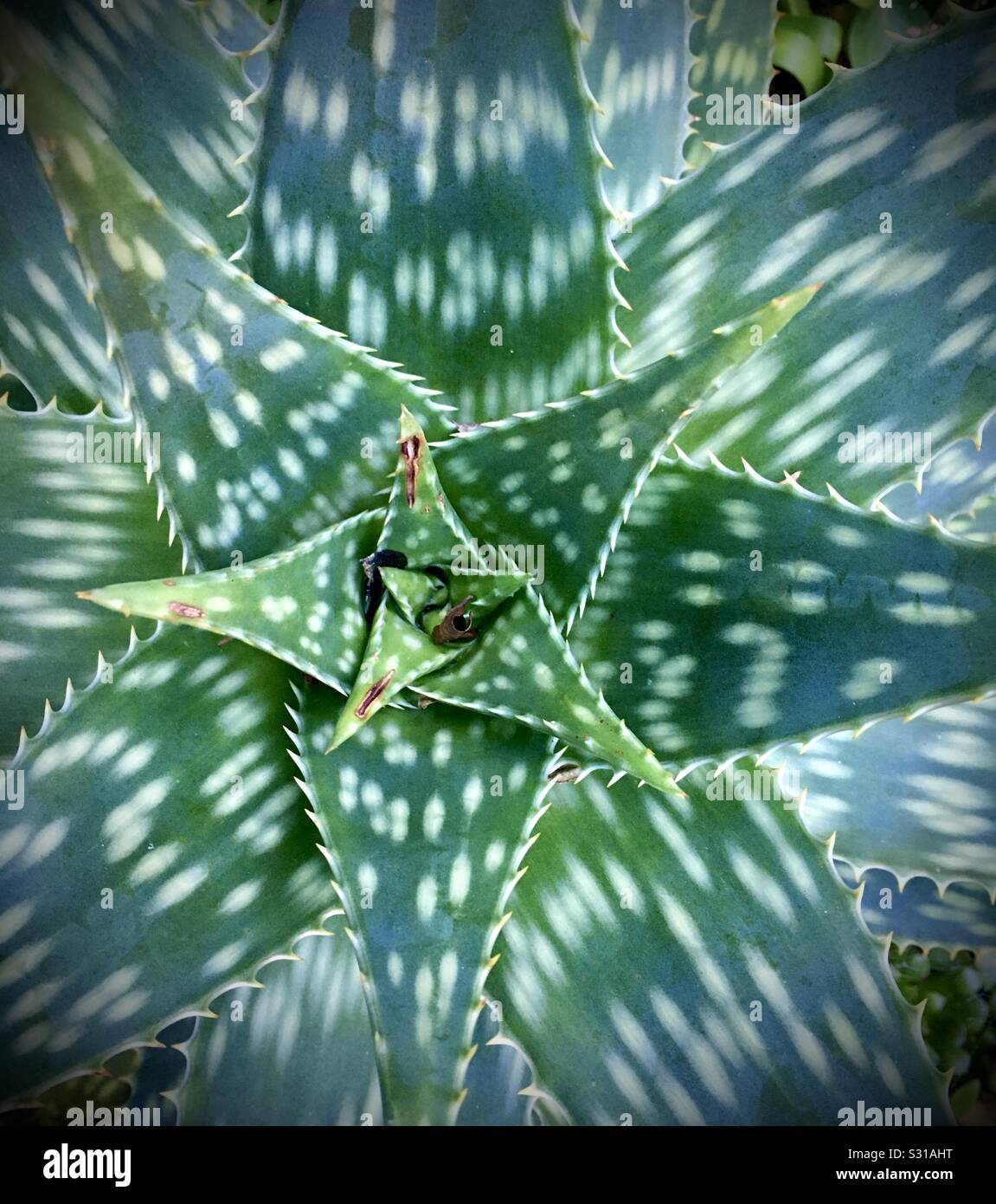 Green triangles hi-res stock photography and images - Alamy