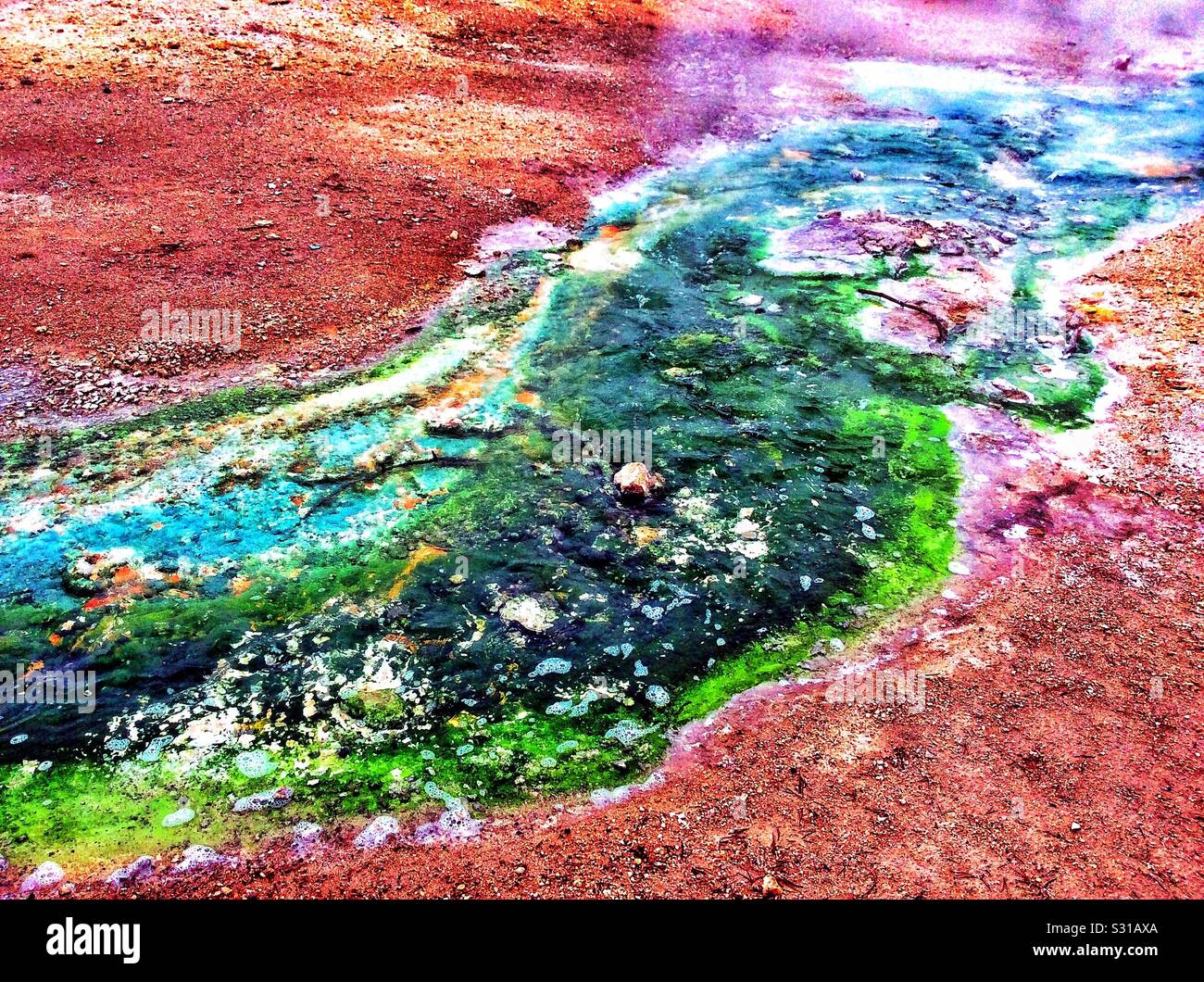 Color algae hi-res stock photography and images - Alamy