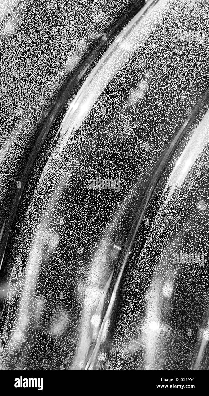 Moist dew hi-res stock photography and images - Alamy