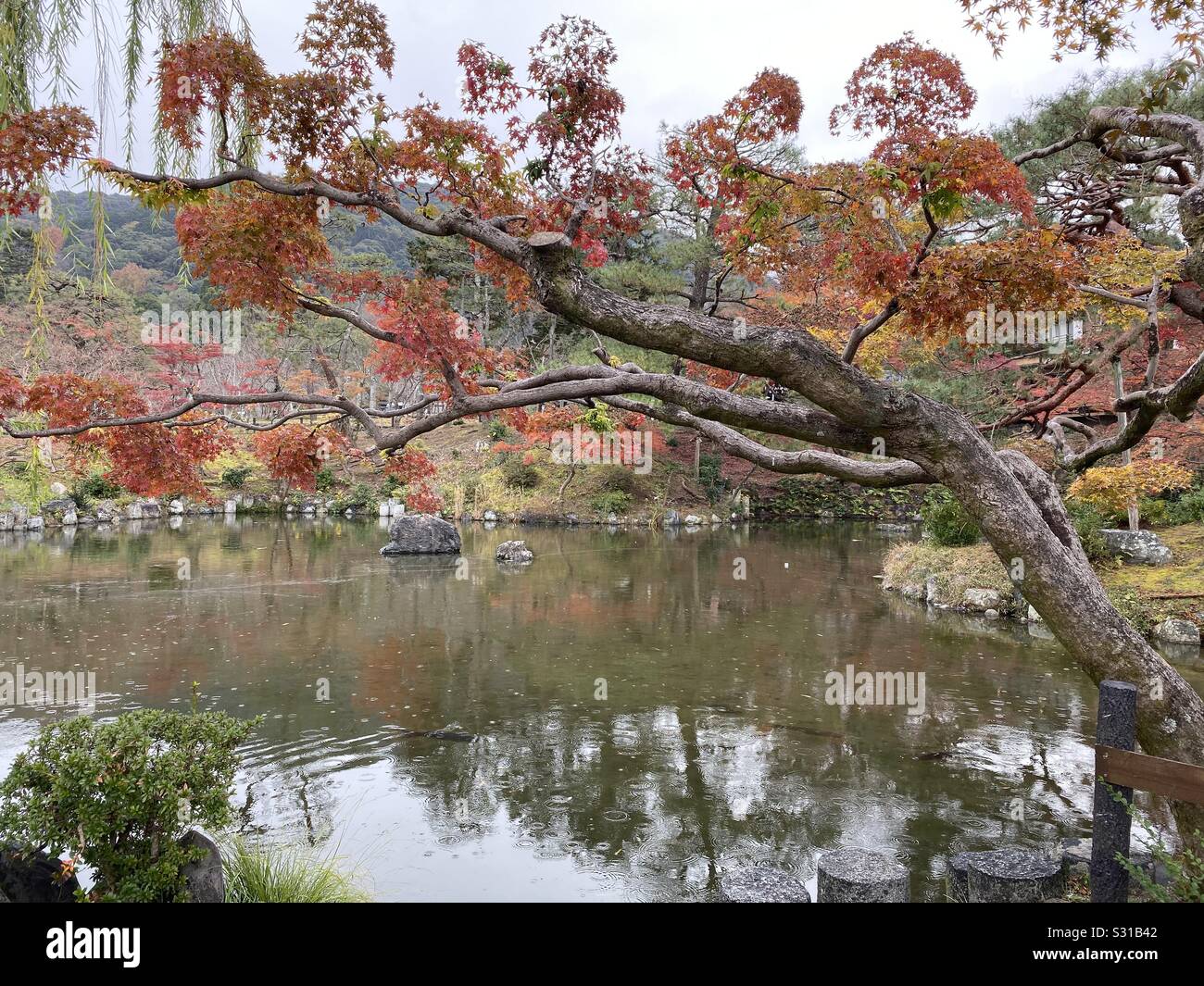 Maruyama park hi-res stock photography and images - Alamy
