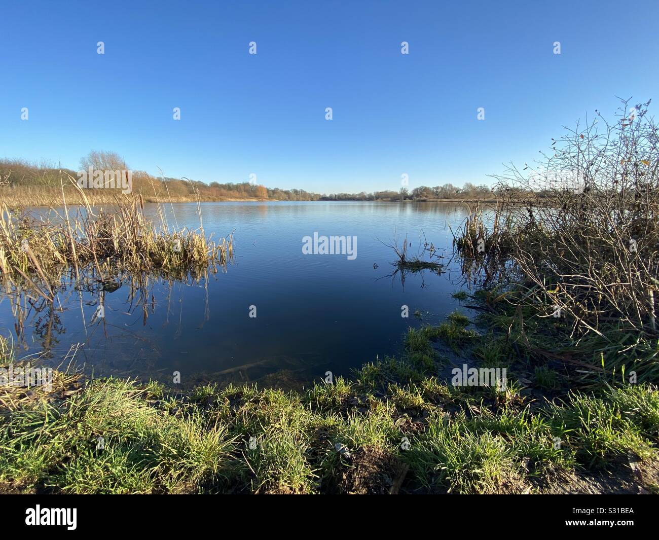 Still lake east Anglia Stock Photo - Alamy