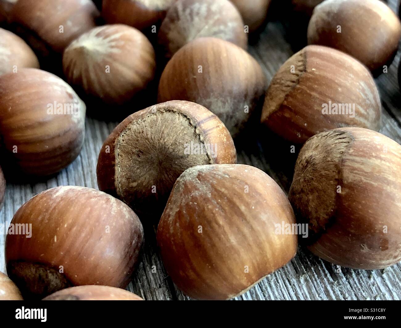 Holiday surface hi-res stock photography and images - Alamy