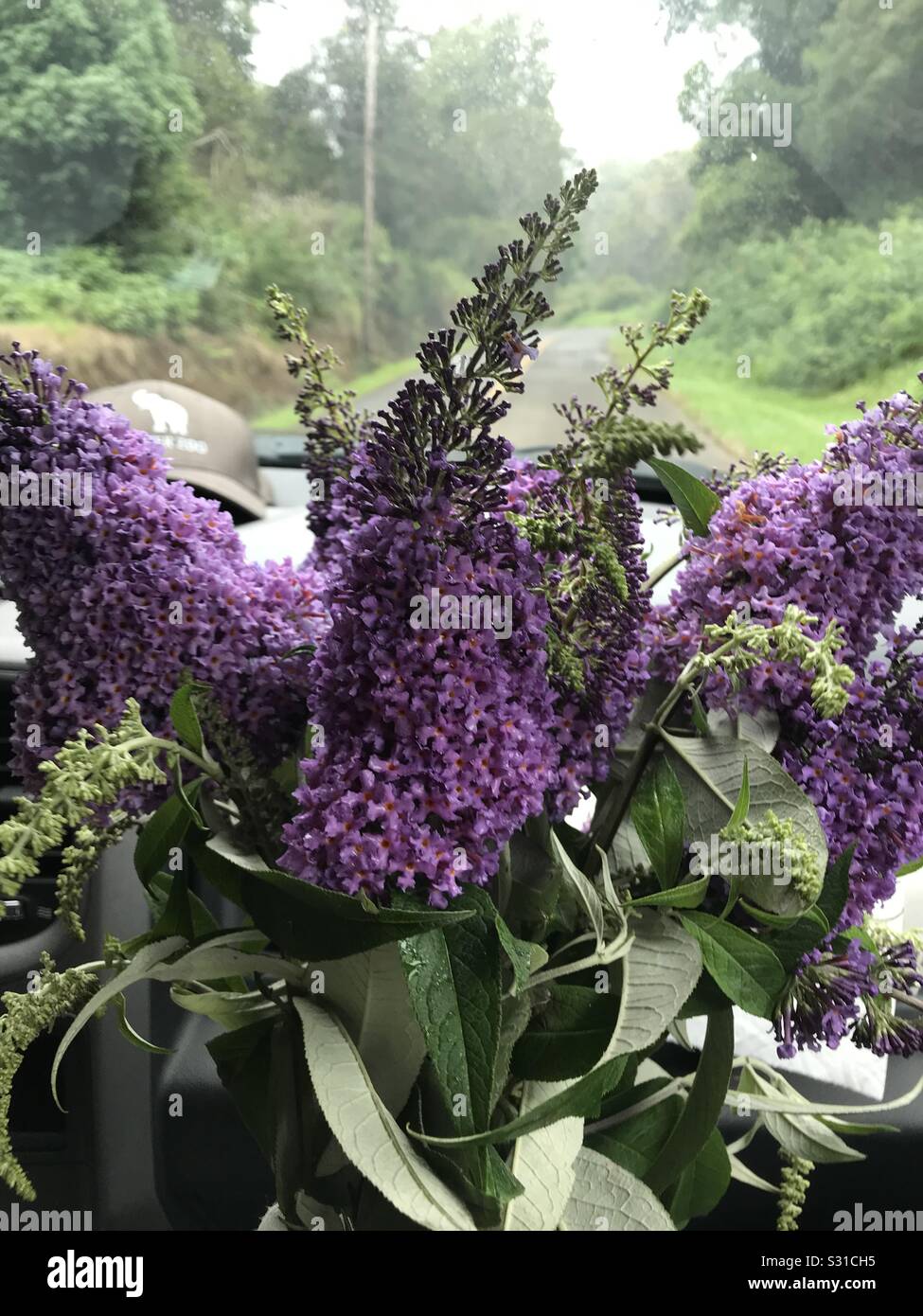 Drive flowers hi-res stock photography and images - Alamy