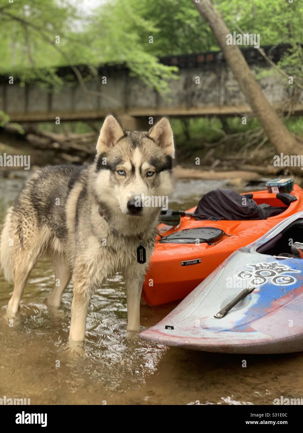 Deegan hi-res stock photography and images - Alamy