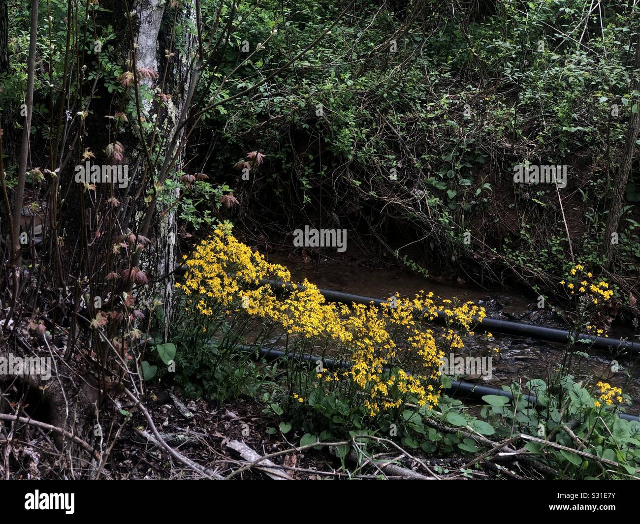 Middle of no where hi-res stock photography and images - Alamy