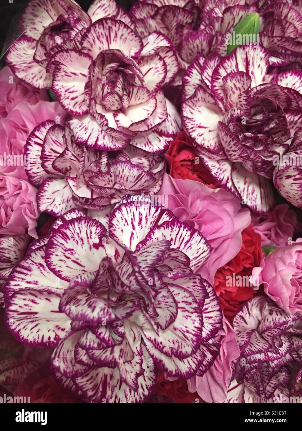 Pink pedals hi-res stock photography and images - Alamy