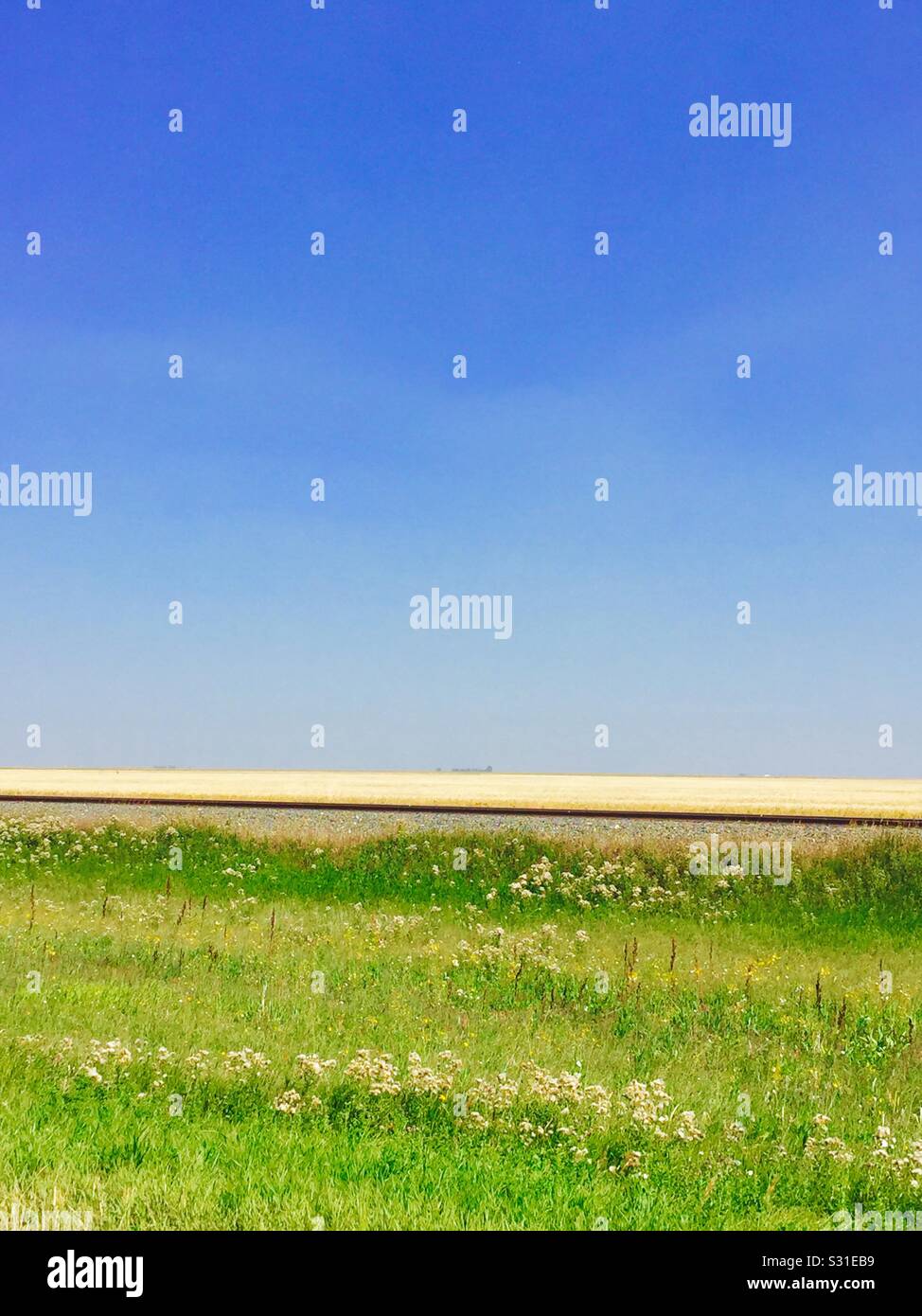 Wide open plains Stock Photo - Alamy