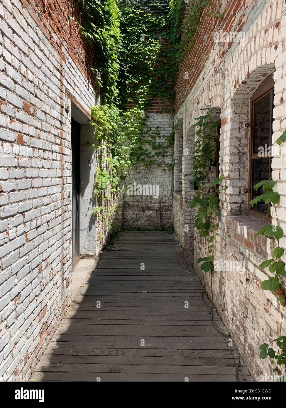 Vines in alley hi-res stock photography and images - Alamy