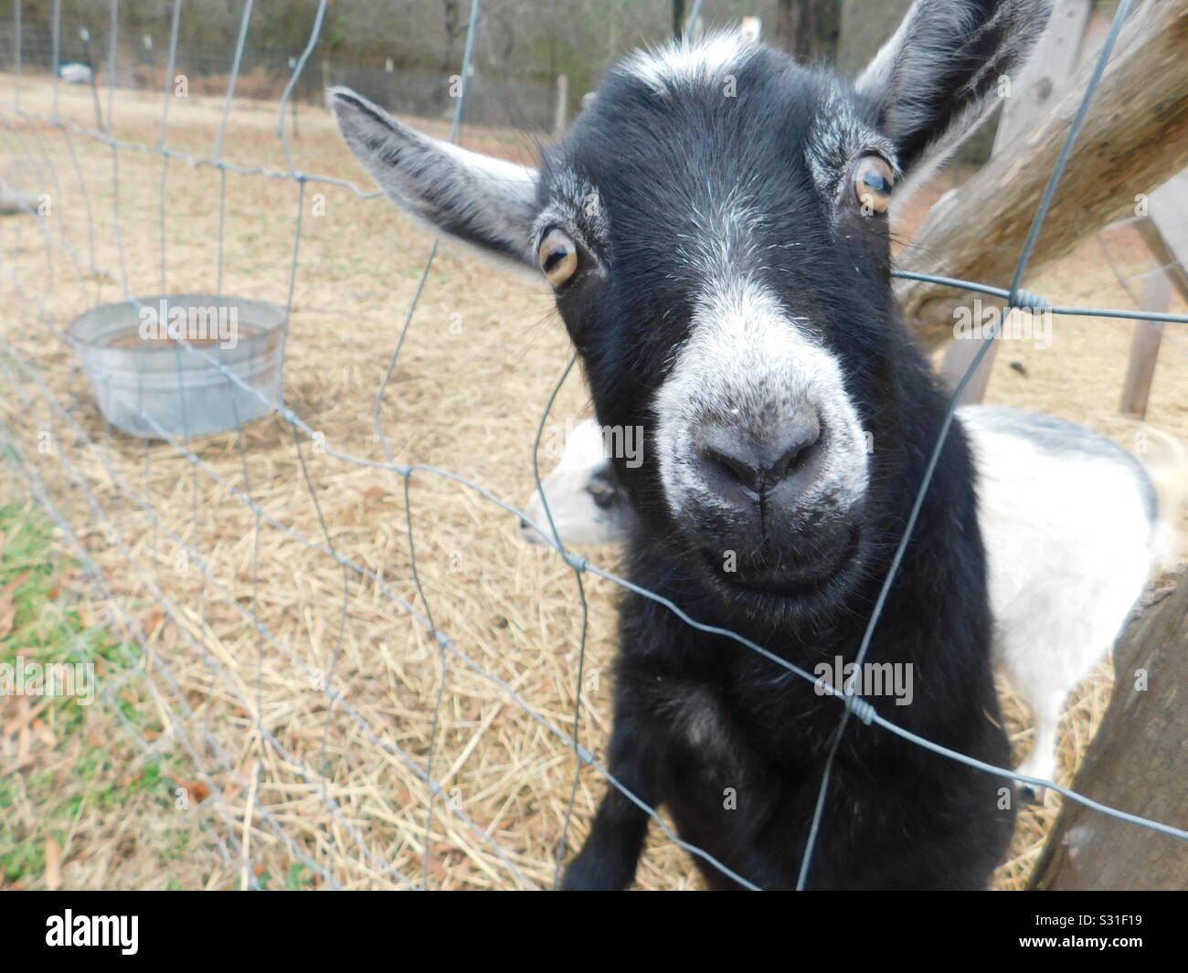 Whatcha doing Stock Photo - Alamy
