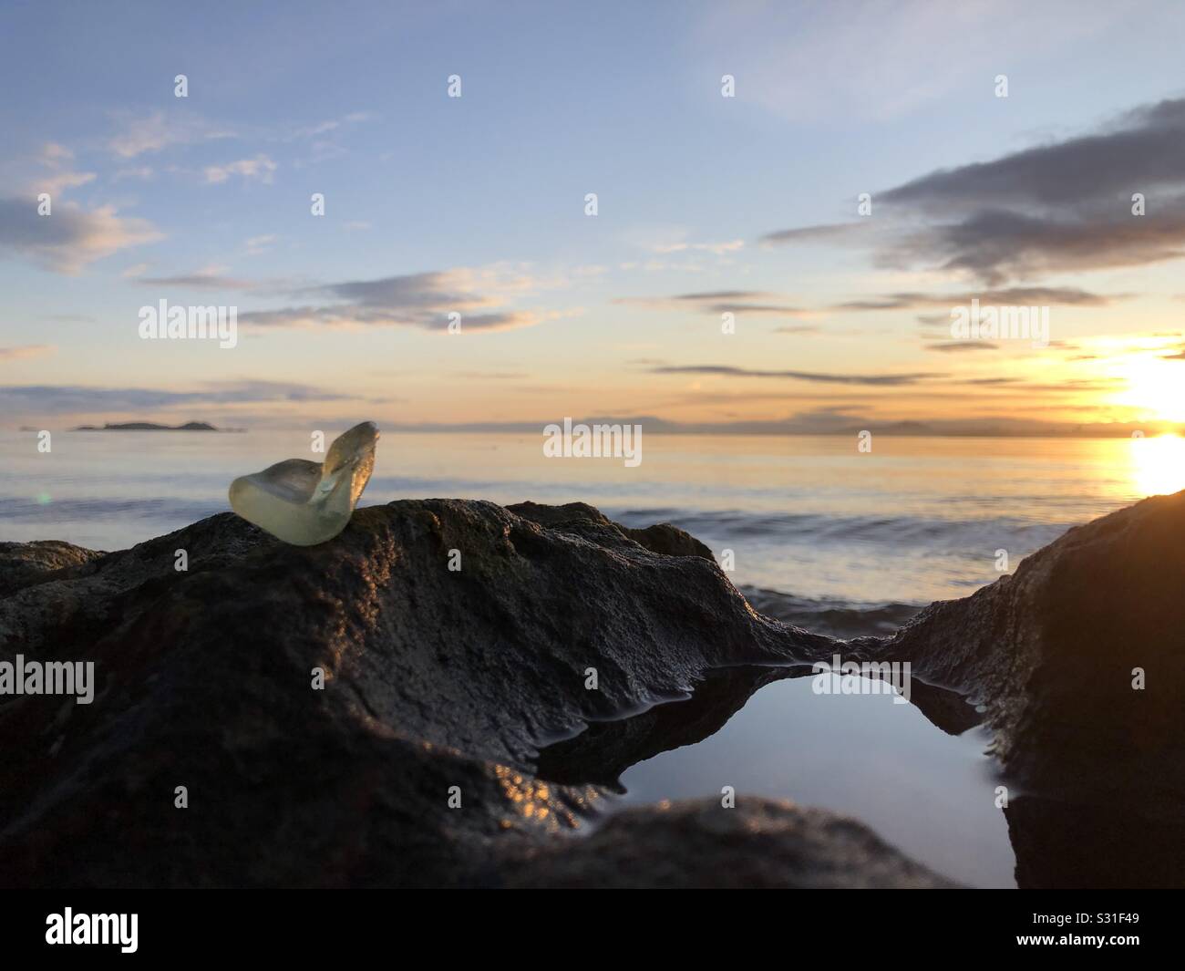 Fragile yet strong hi-res stock photography and images - Alamy