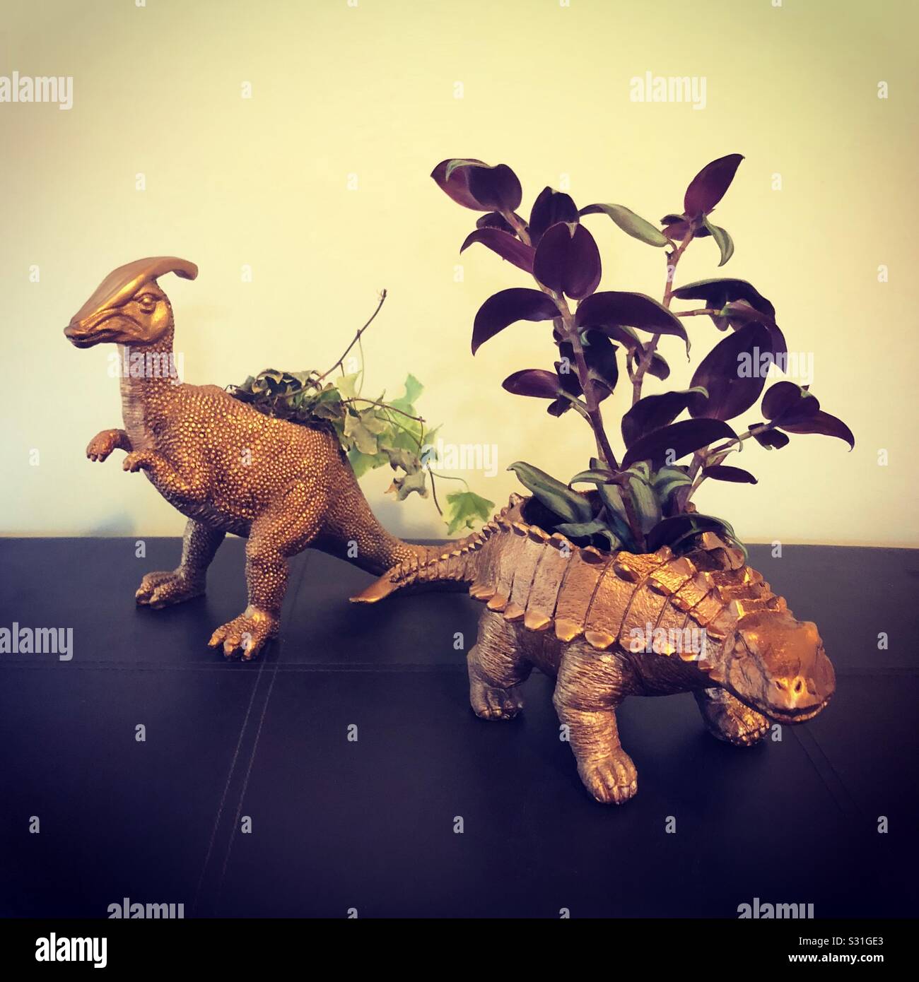 Plants as decor hi-res stock photography and images - Alamy