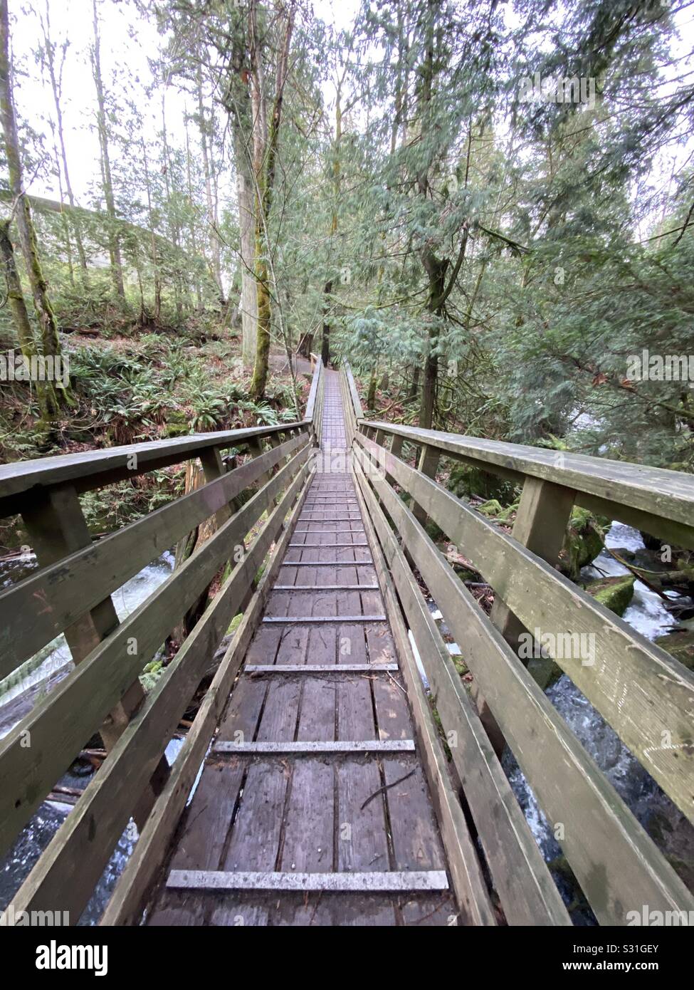 Bridge on a Vancouver island path Stock Photo - Alamy