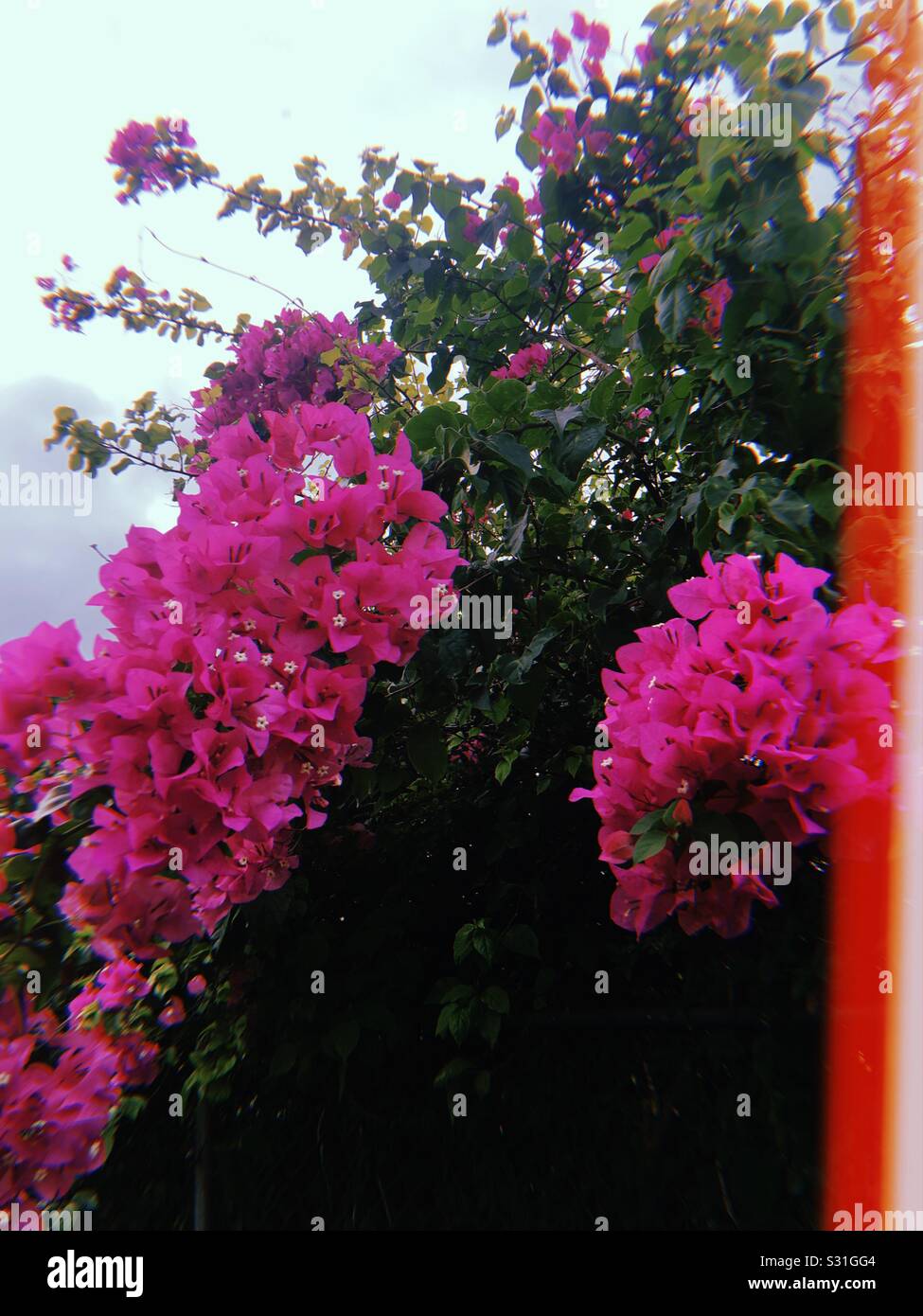 Picture of life hi-res stock photography and images - Alamy