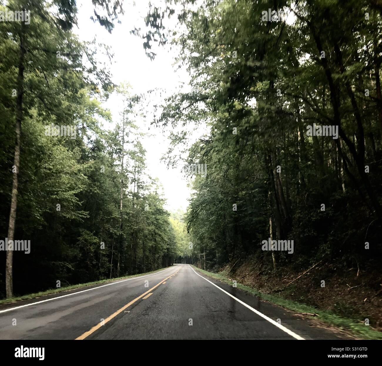 Back road country hi-res stock photography and images - Alamy
