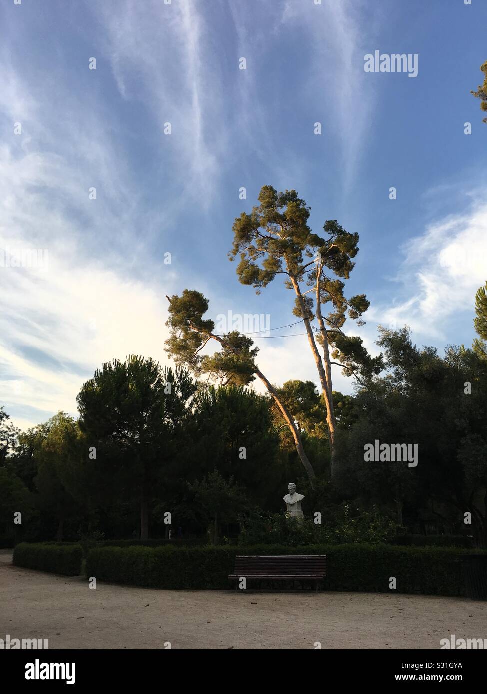 Unique trees hi-res stock photography and images - Alamy