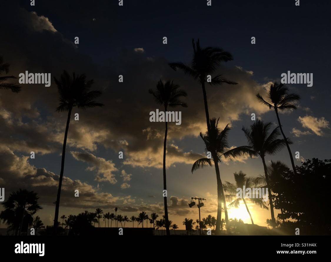 Luau hawaii hi-res stock photography and images - Alamy