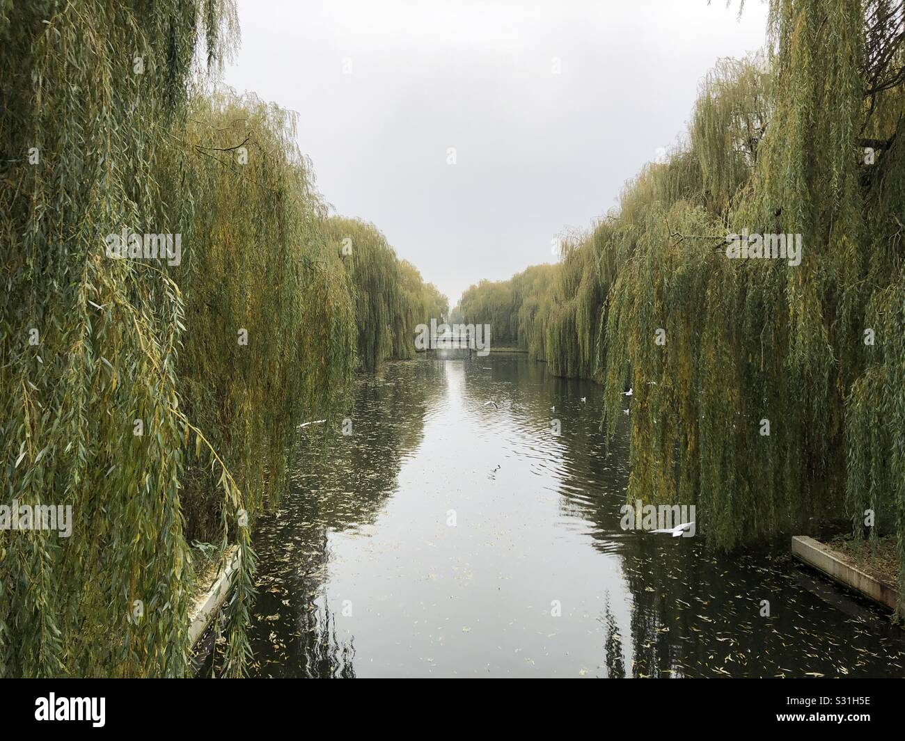 Almere netherlands hi-res stock photography and images - Alamy