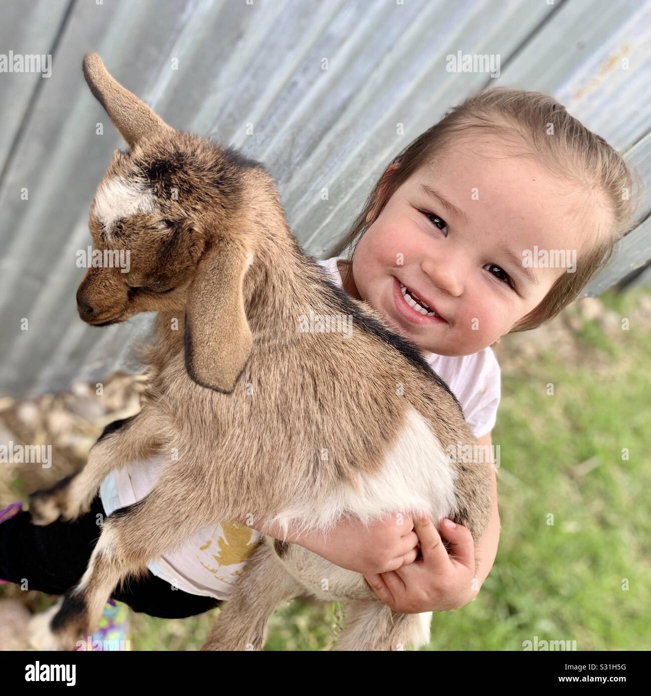 Farming simple hi-res stock photography and images - Alamy
