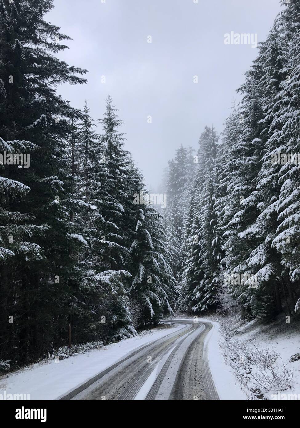 Pure winter wonderland Stock Photo - Alamy