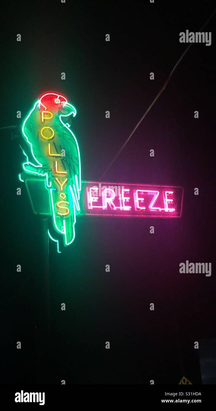 neon bird sign Stock Photo - Alamy