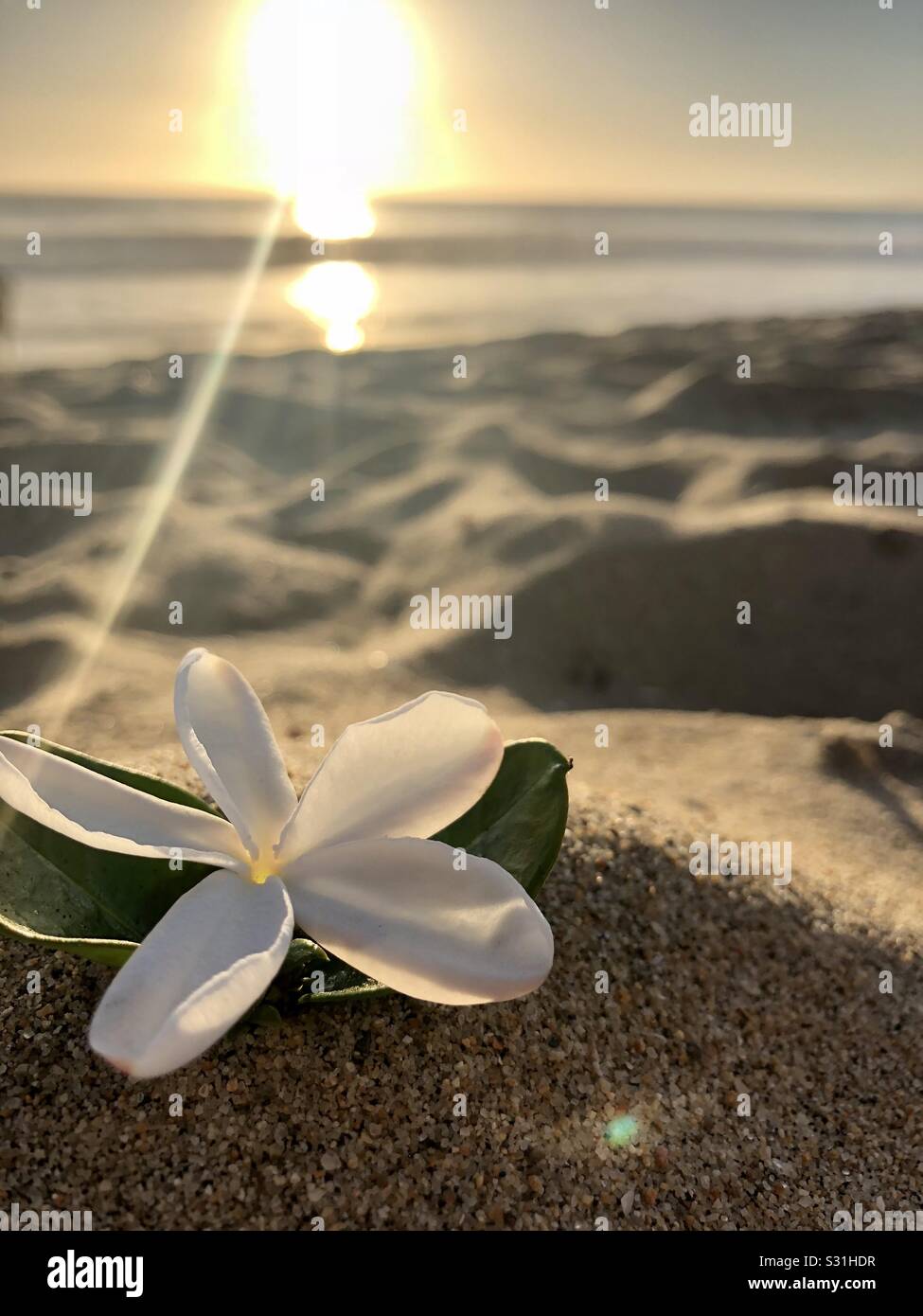 Sunny sunset hi-res stock photography and images - Alamy