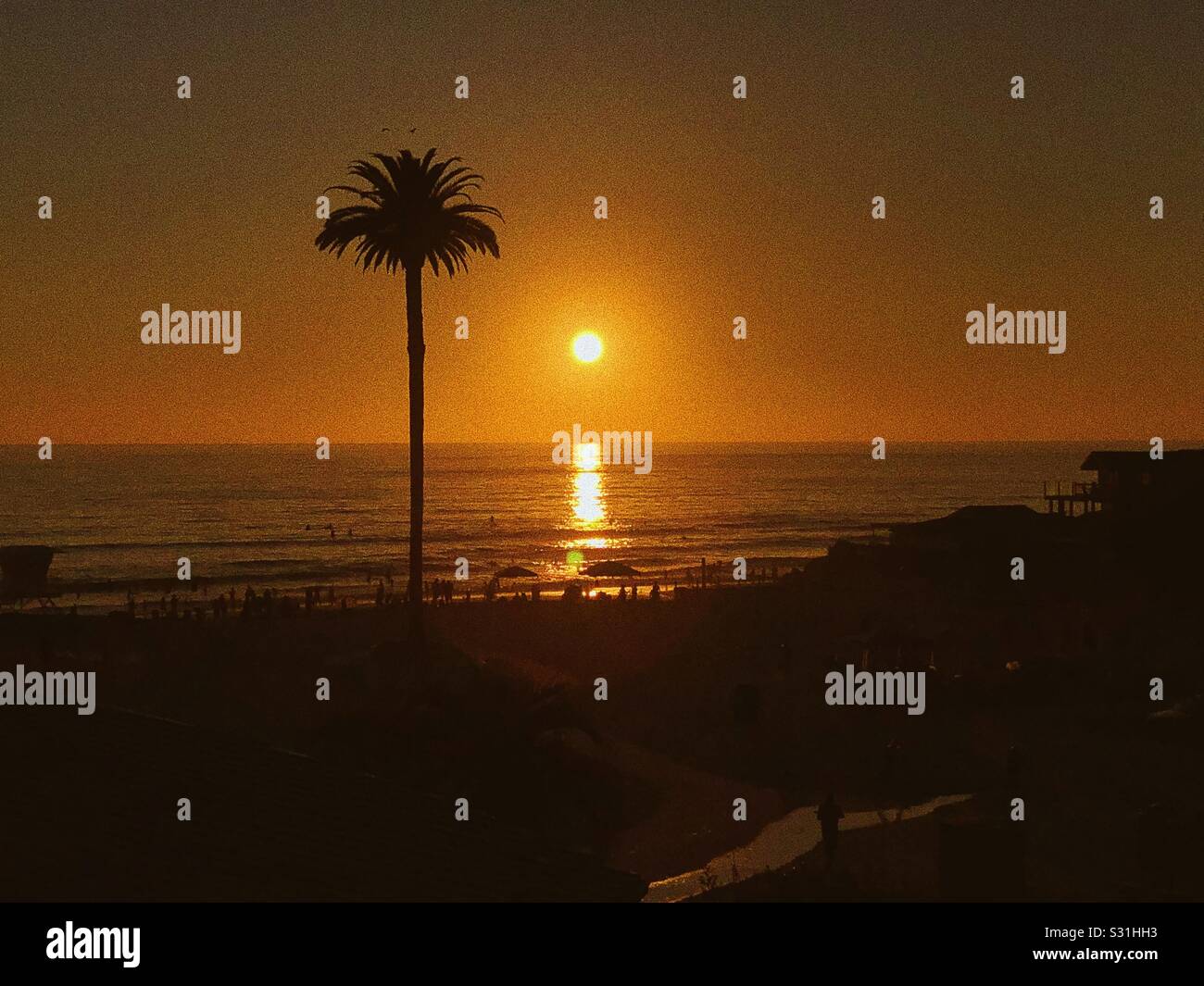 Moonlight beach hi-res stock photography and images - Alamy