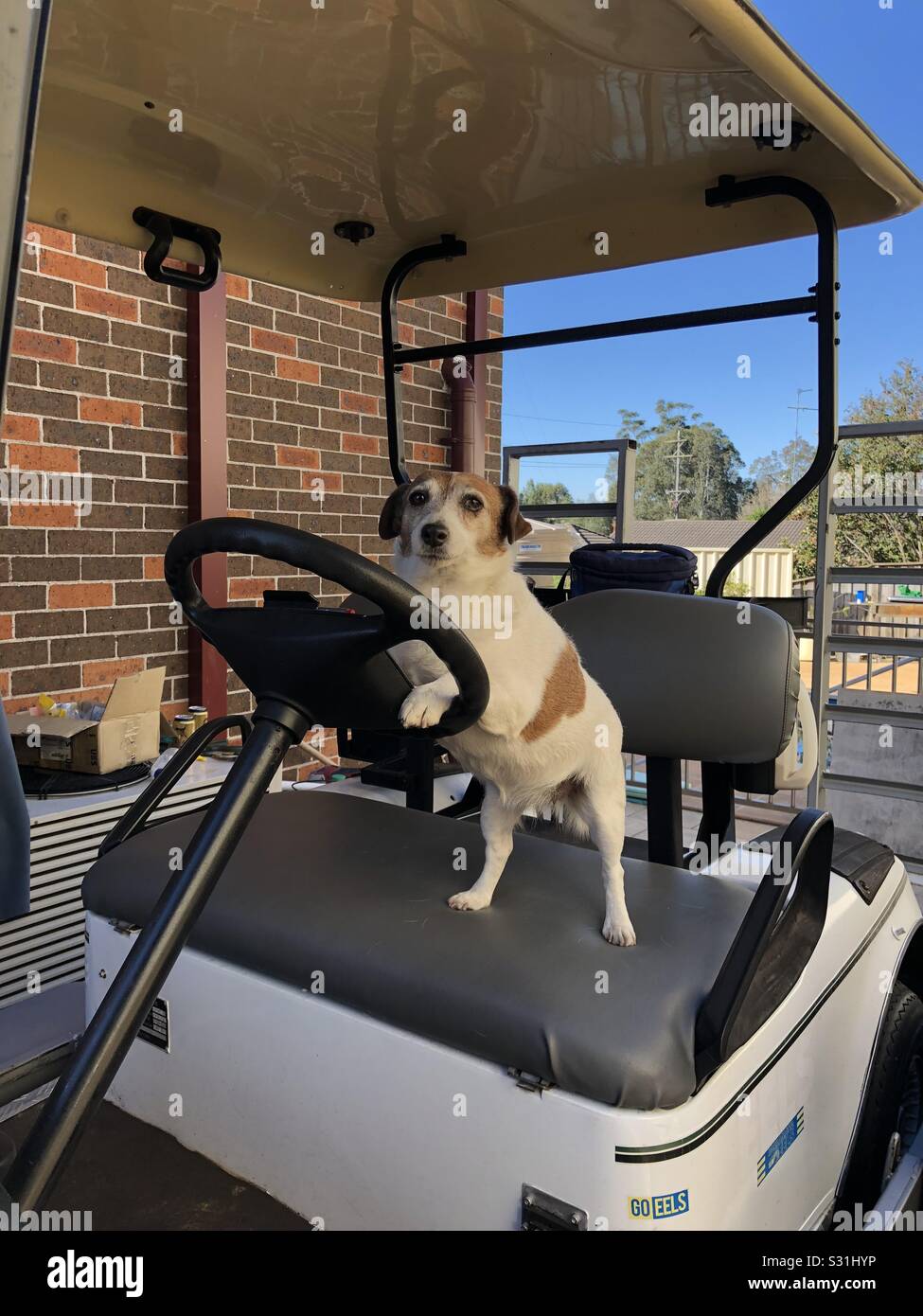 Golf russell hi-res stock photography and images - Alamy