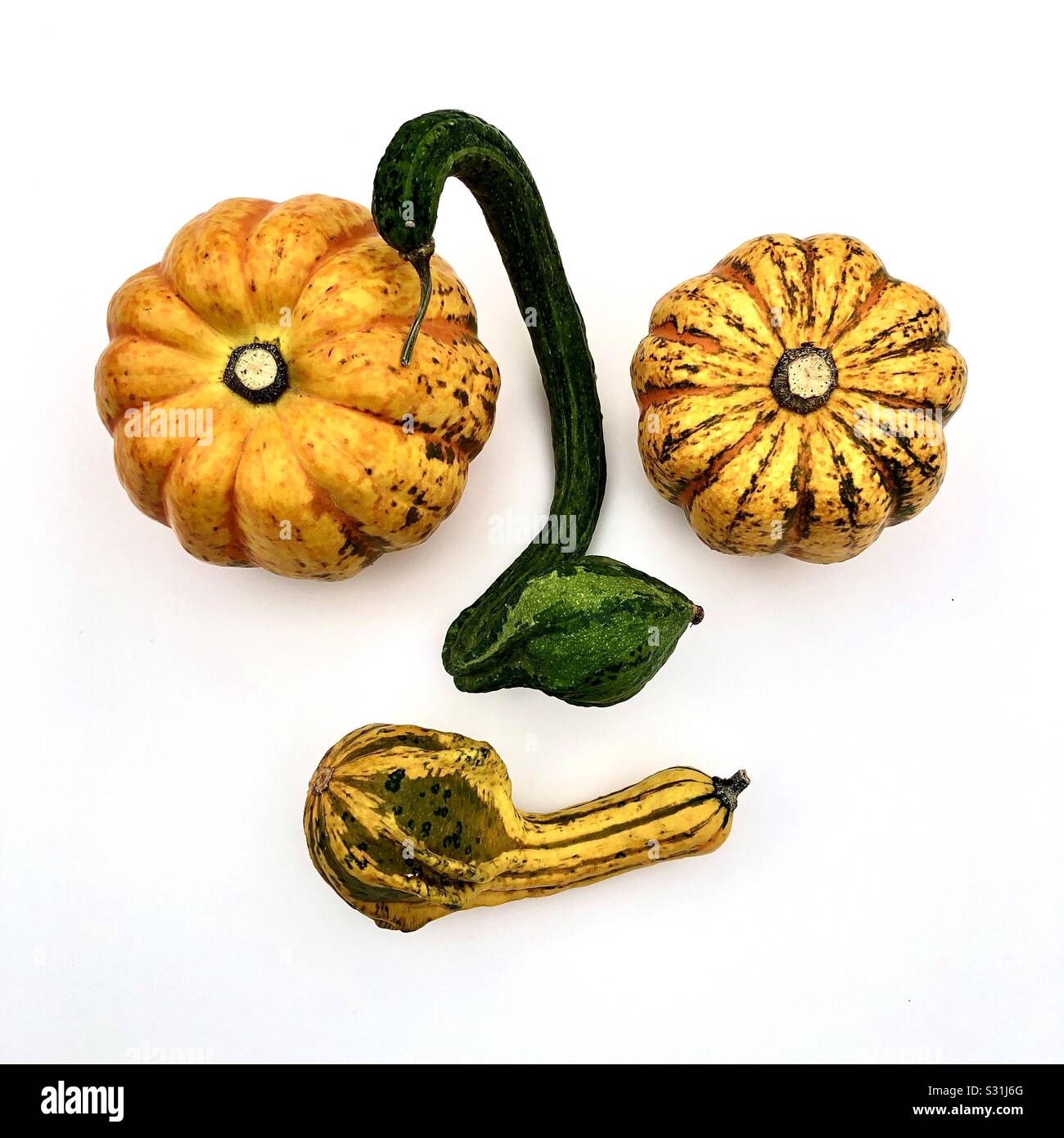 A summer squash happy face Stock Photo - Alamy