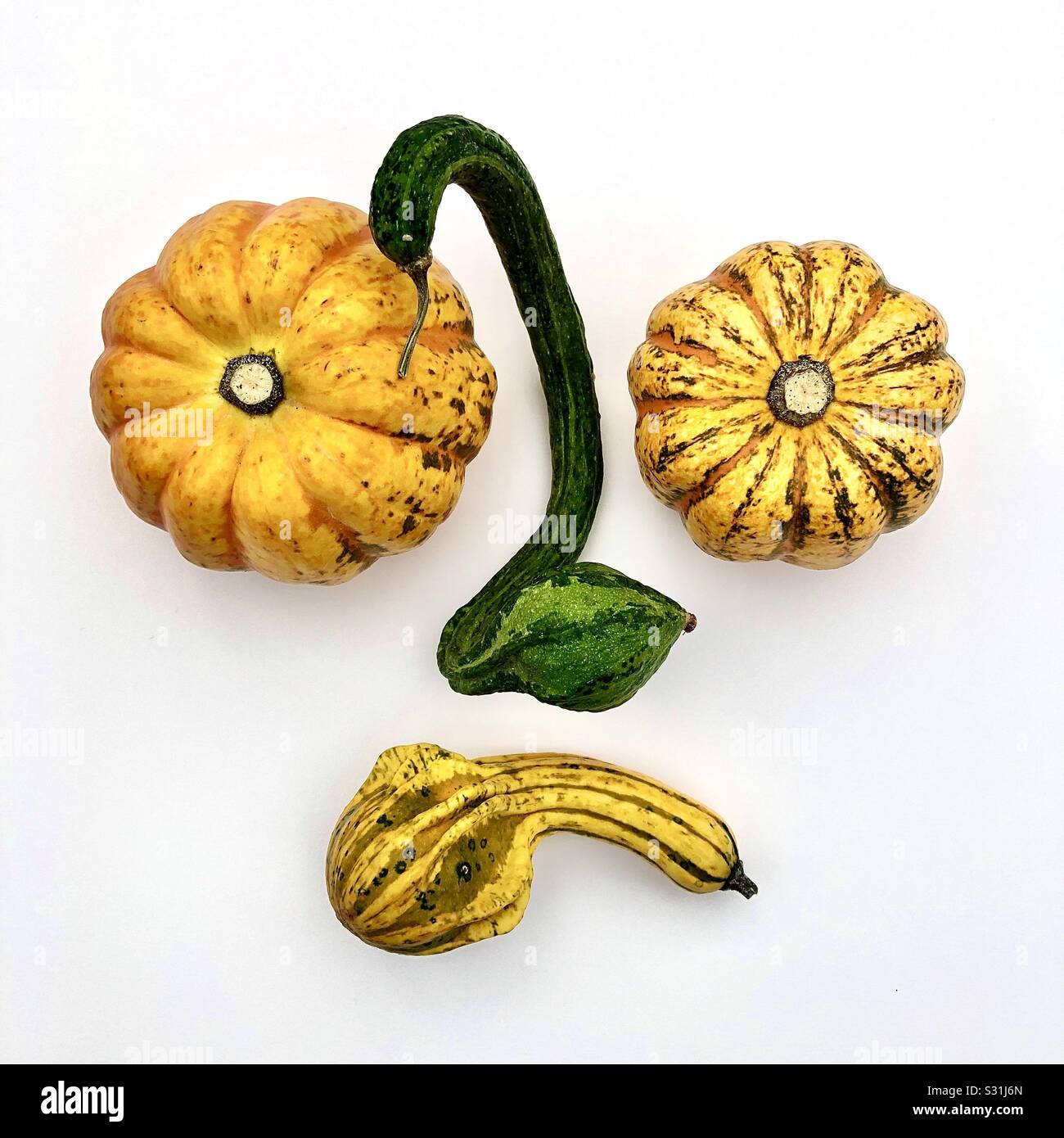 Fruit squash hi-res stock photography and images - Alamy