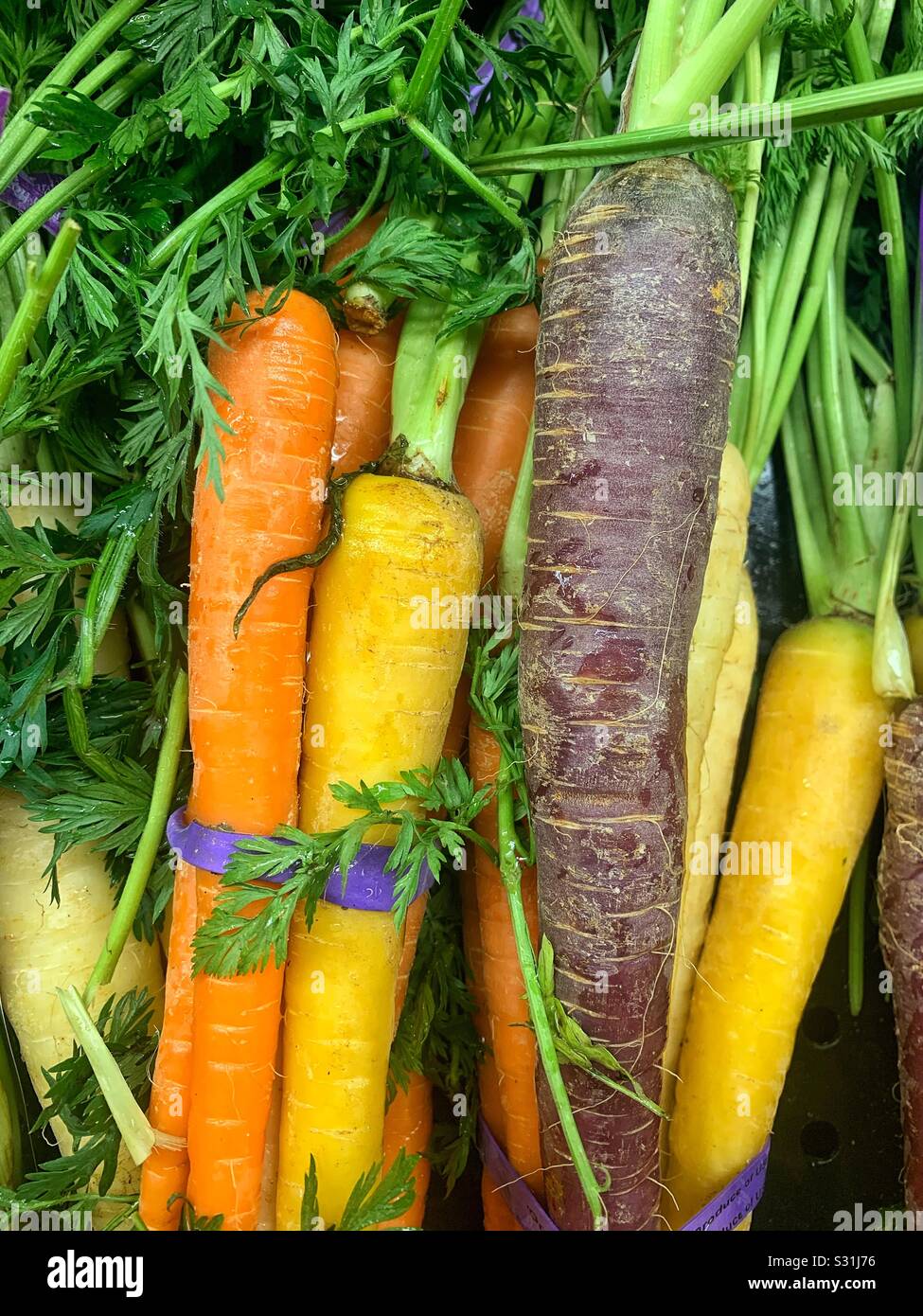 Fresh colorful rainbow carrots Stock Photo - Alamy