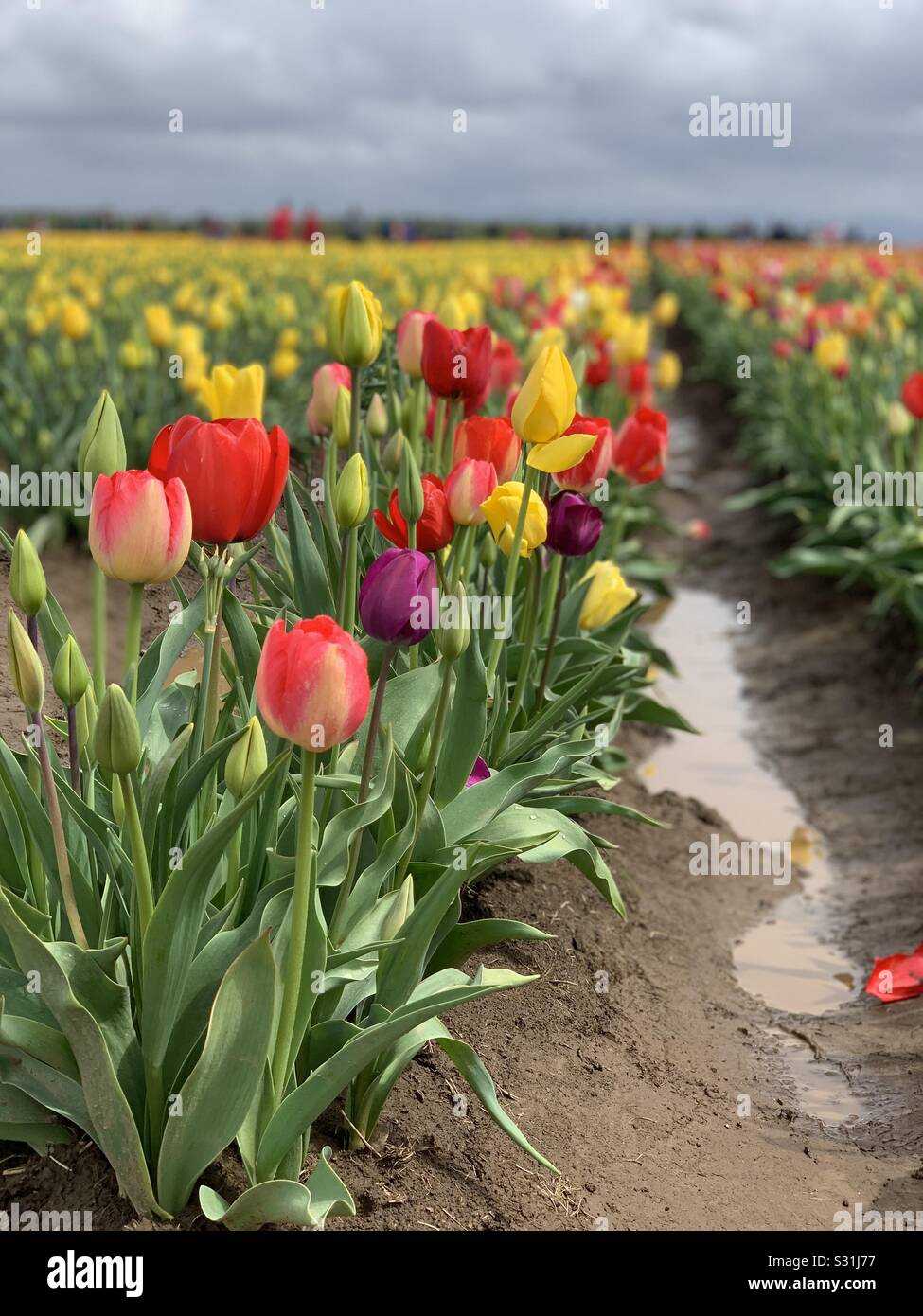 Woodburn farm hi-res stock photography and images - Alamy