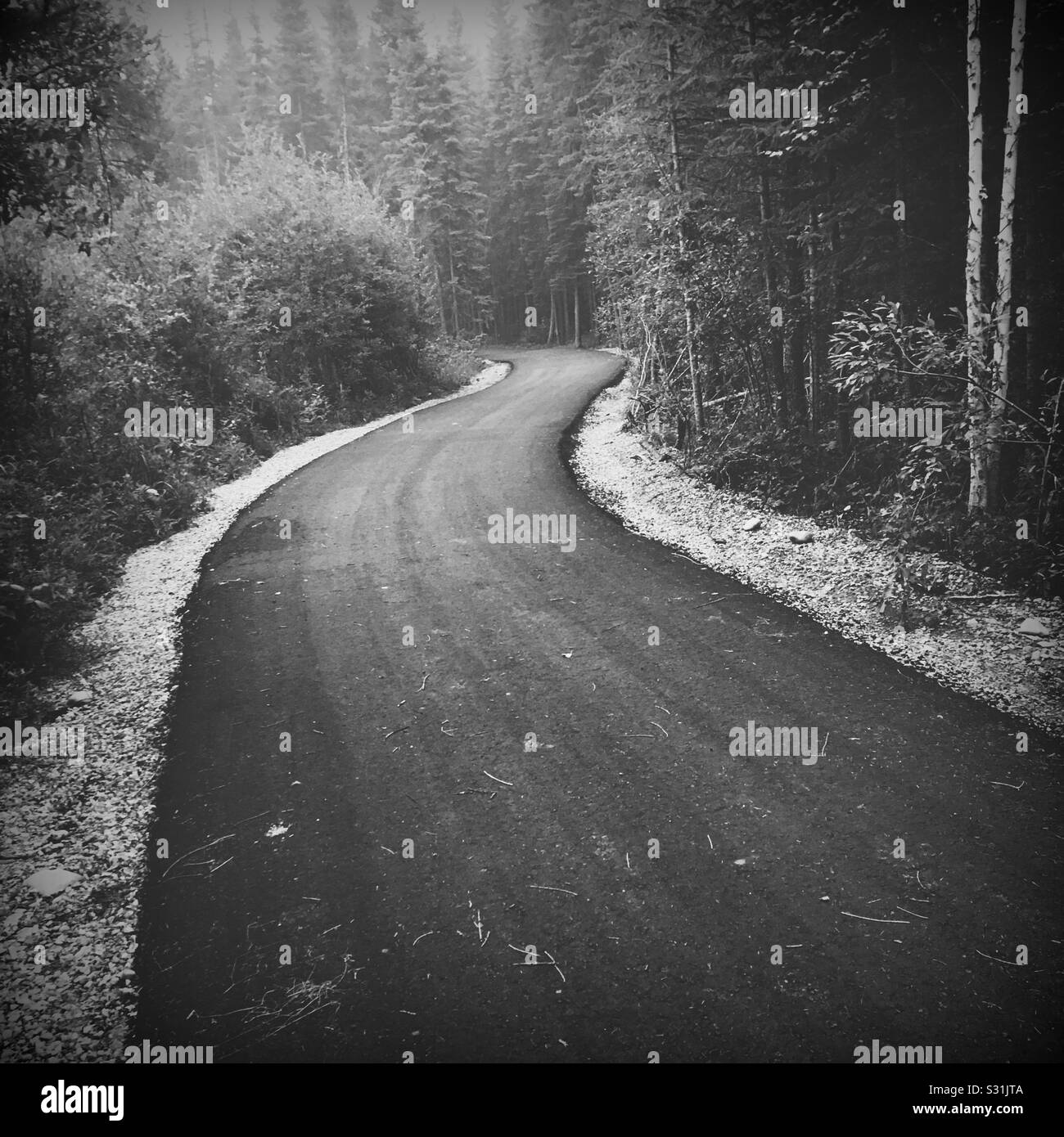 Dark trail hi-res stock photography and images - Alamy