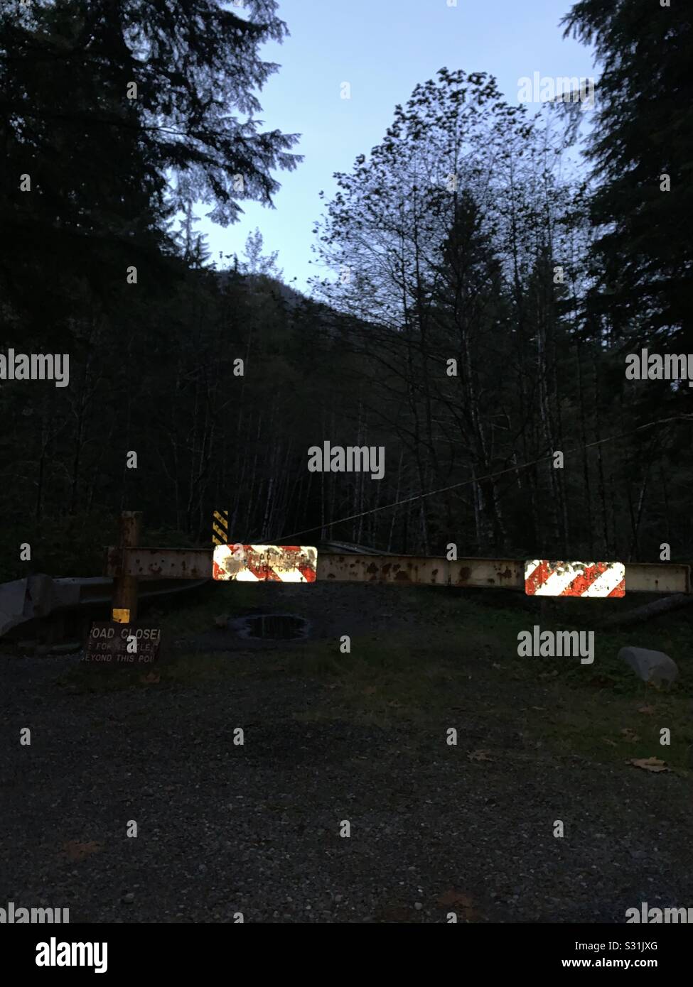 Closed forest hi-res stock photography and images - Alamy