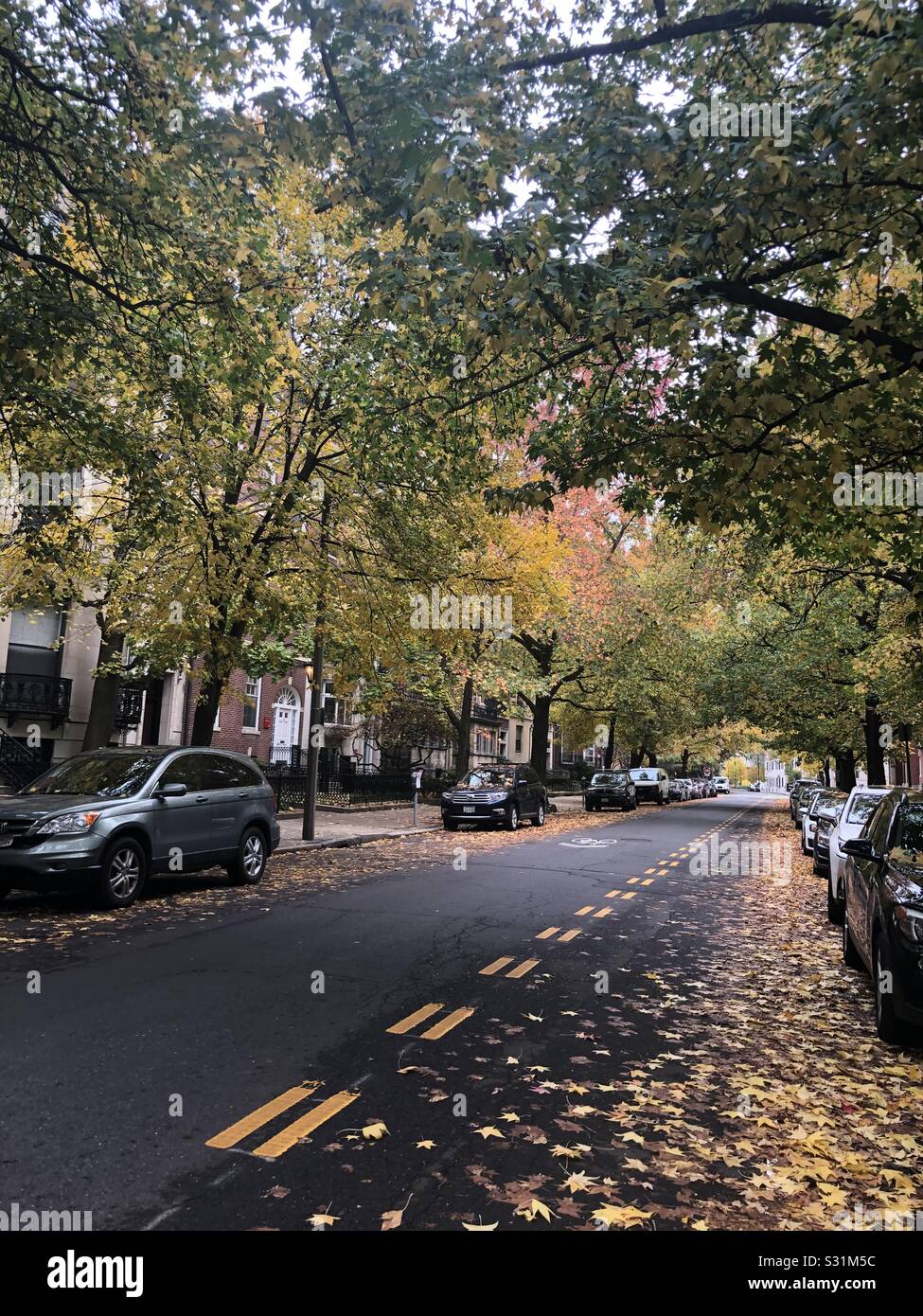 Boston trees fall hi-res stock photography and images - Alamy
