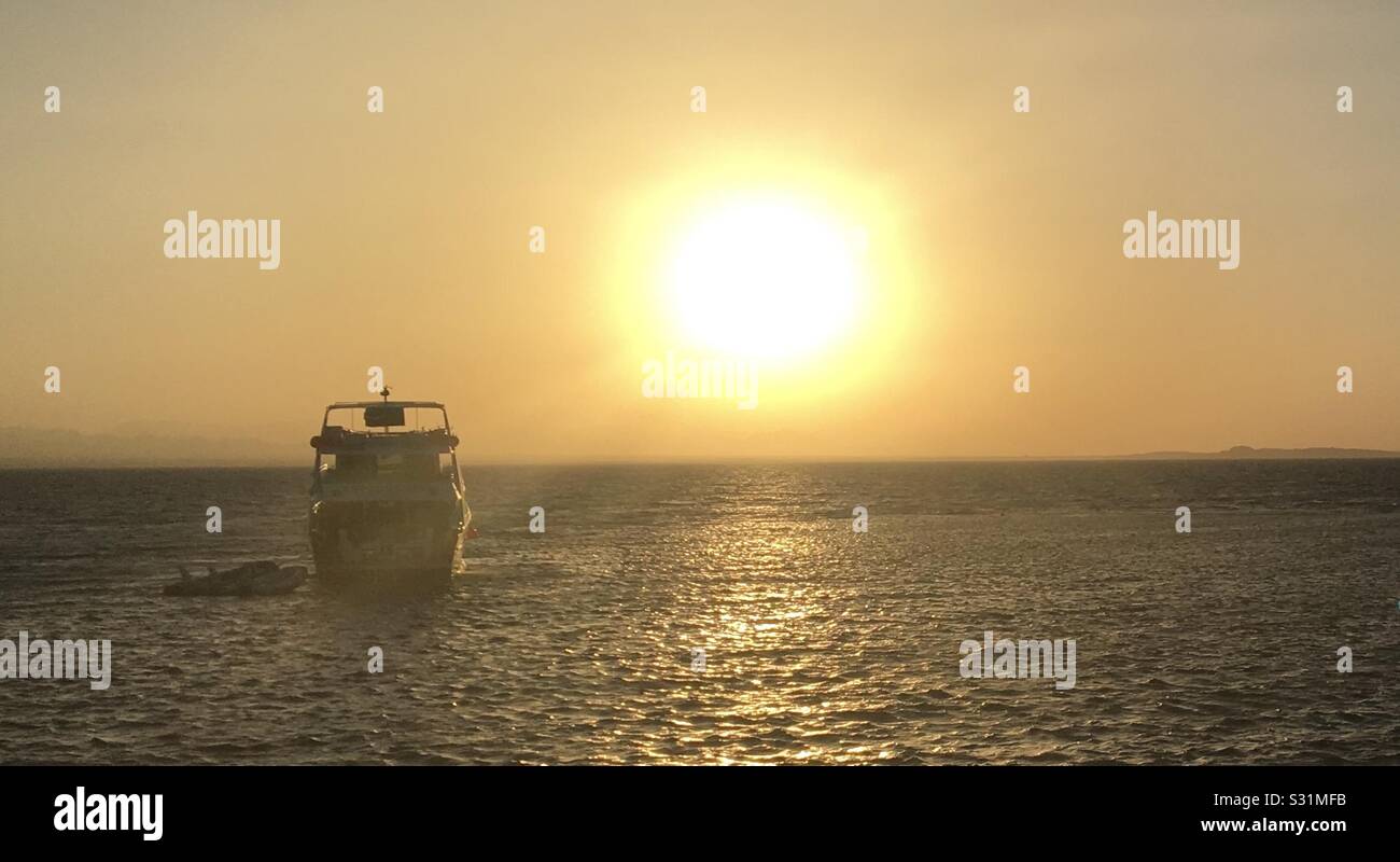 Boat floating in the sunset on the Red Sea Egypt Stock Photo - Alamy