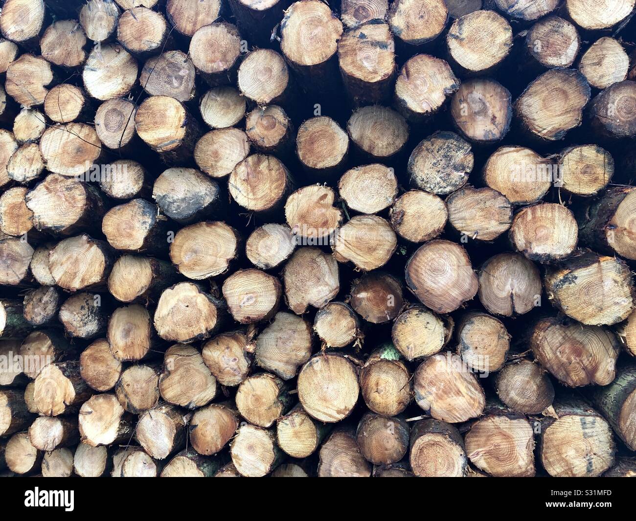 Logs chopped hi-res stock photography and images - Alamy